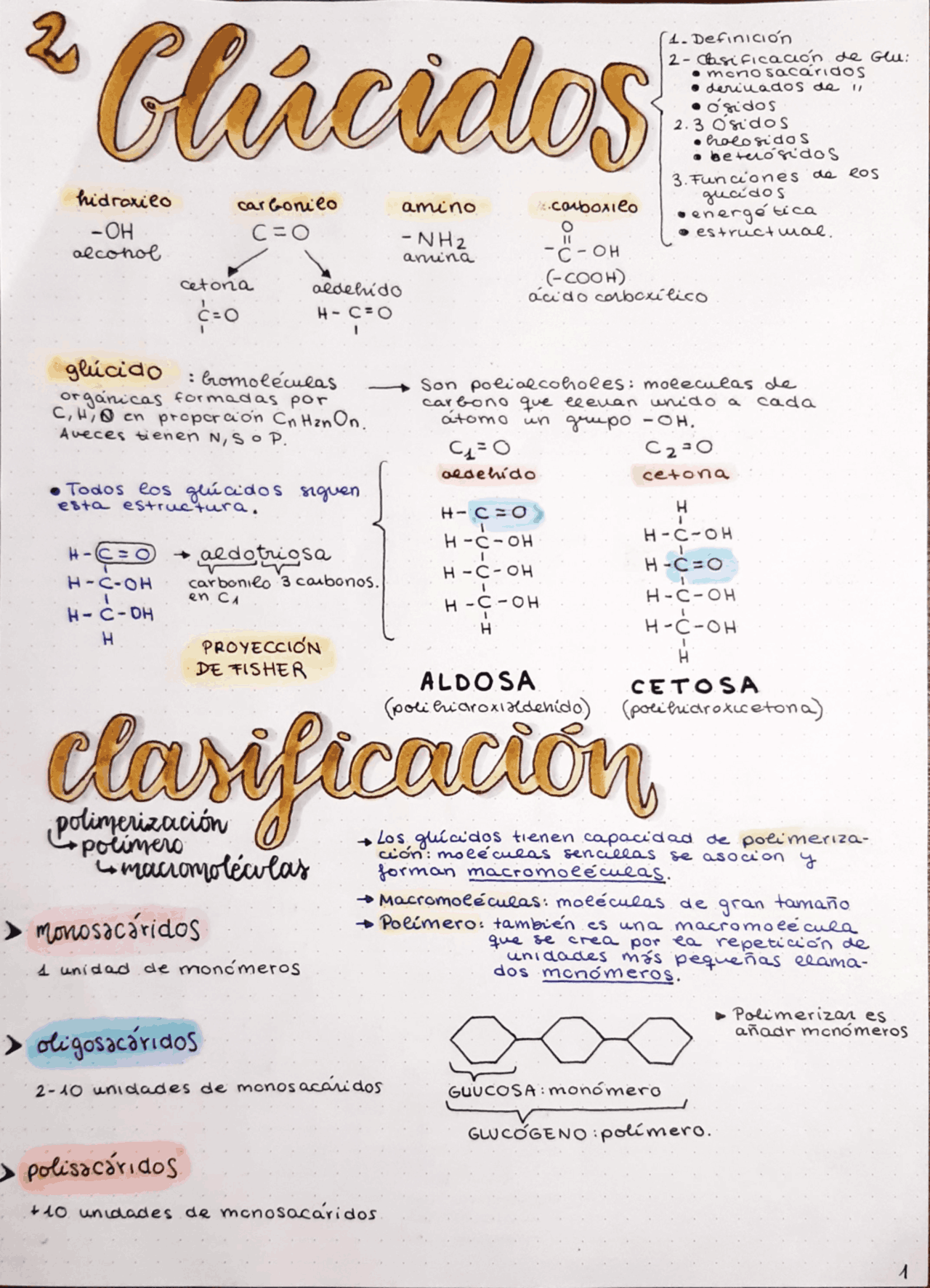 GlÚcidos Tema 2 2°bachillerato Docsity