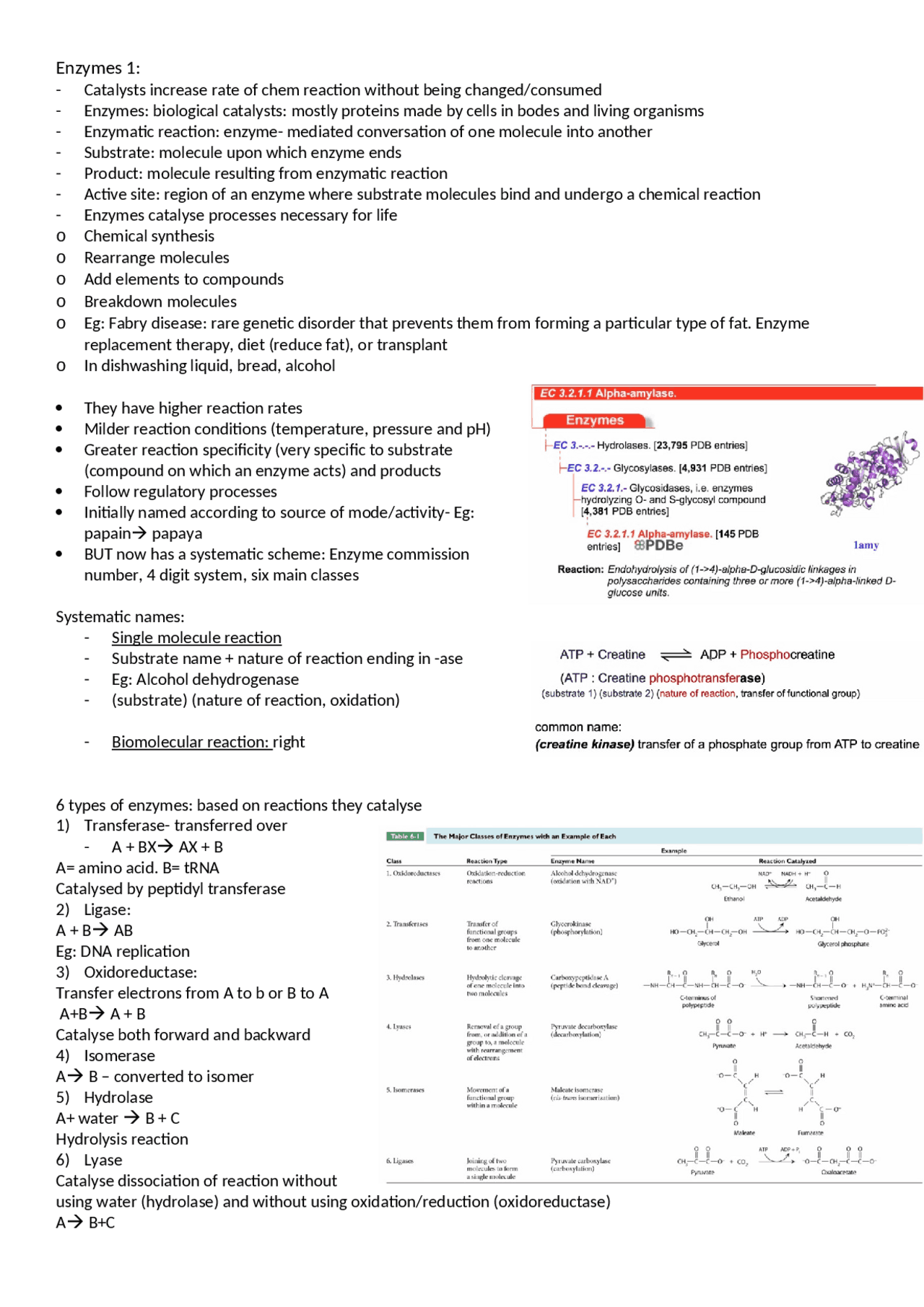 Bmol1001 Enzymes 1 Cheat Sheet Docsity