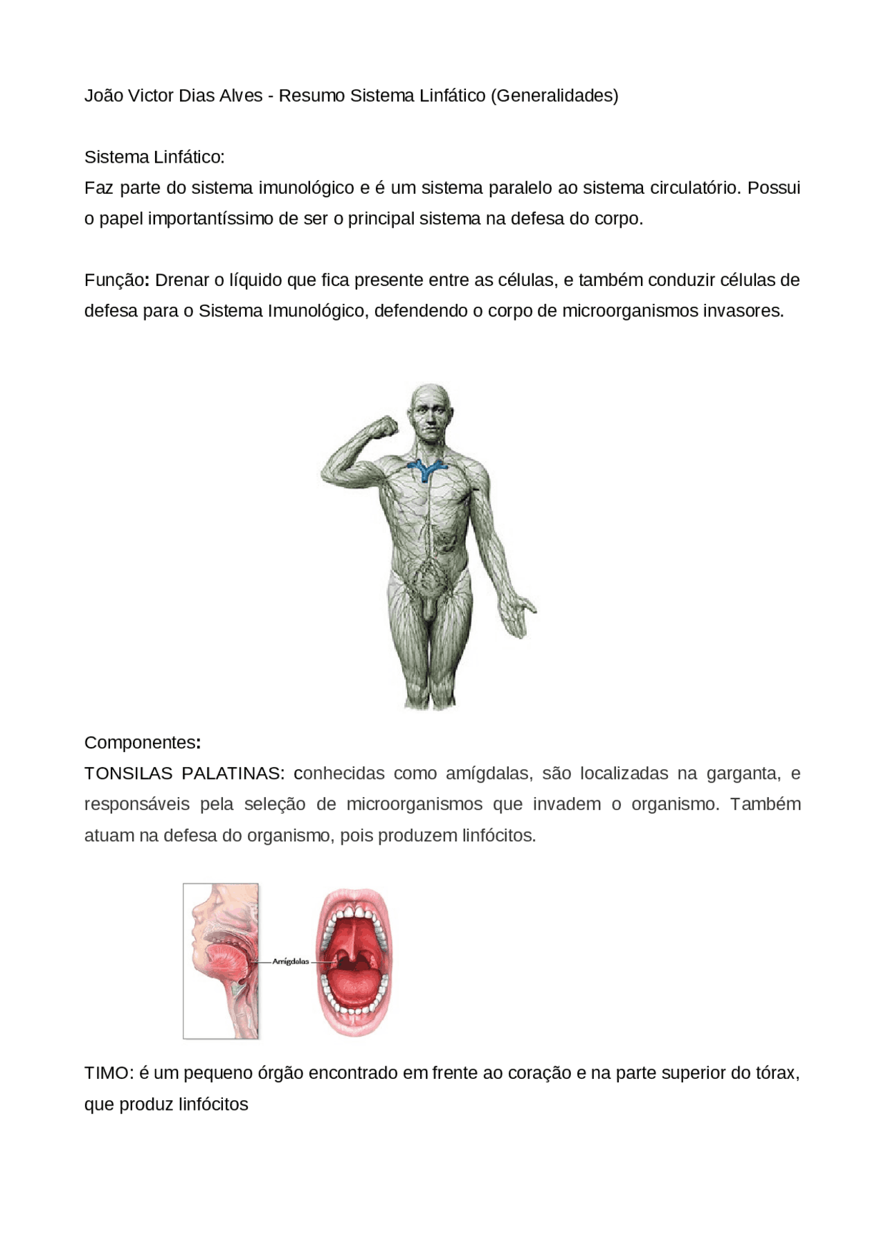 Resumo Sistema Linfático Generalidades Docsity
