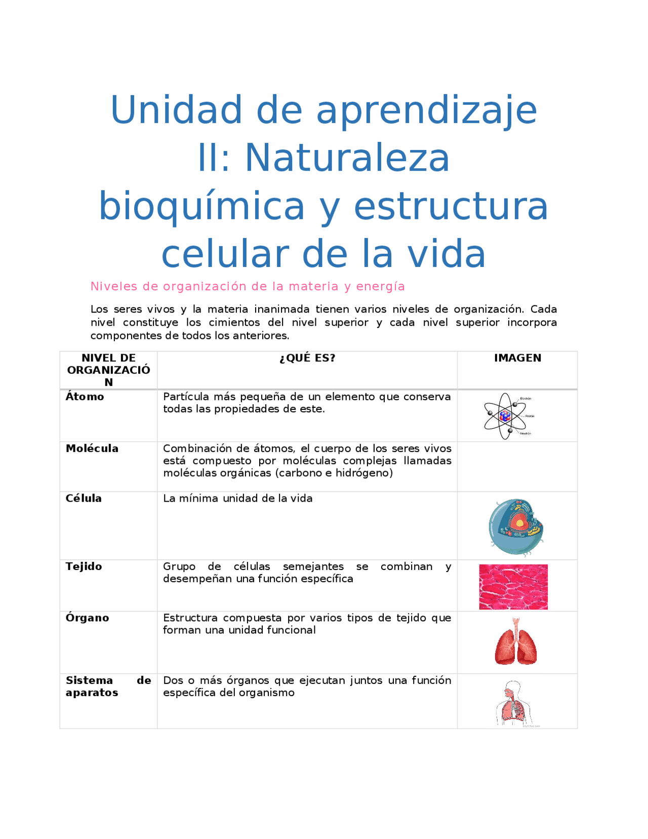 BIOLOGÍA, CICLO CELULAR - Docsity