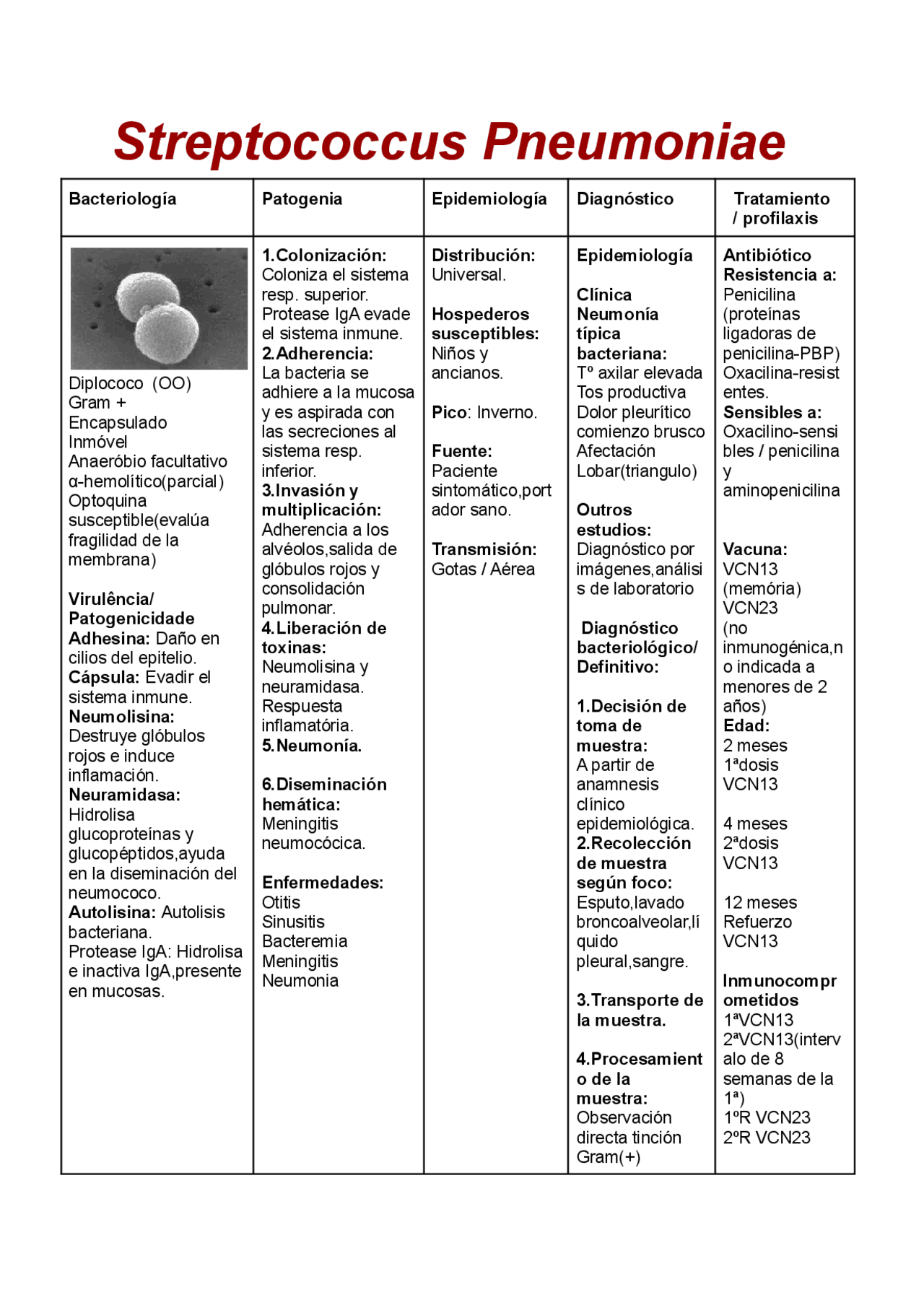 Bacteriología Microbiología Unlp 2021 Esquemas Y Mapas Conceptuales