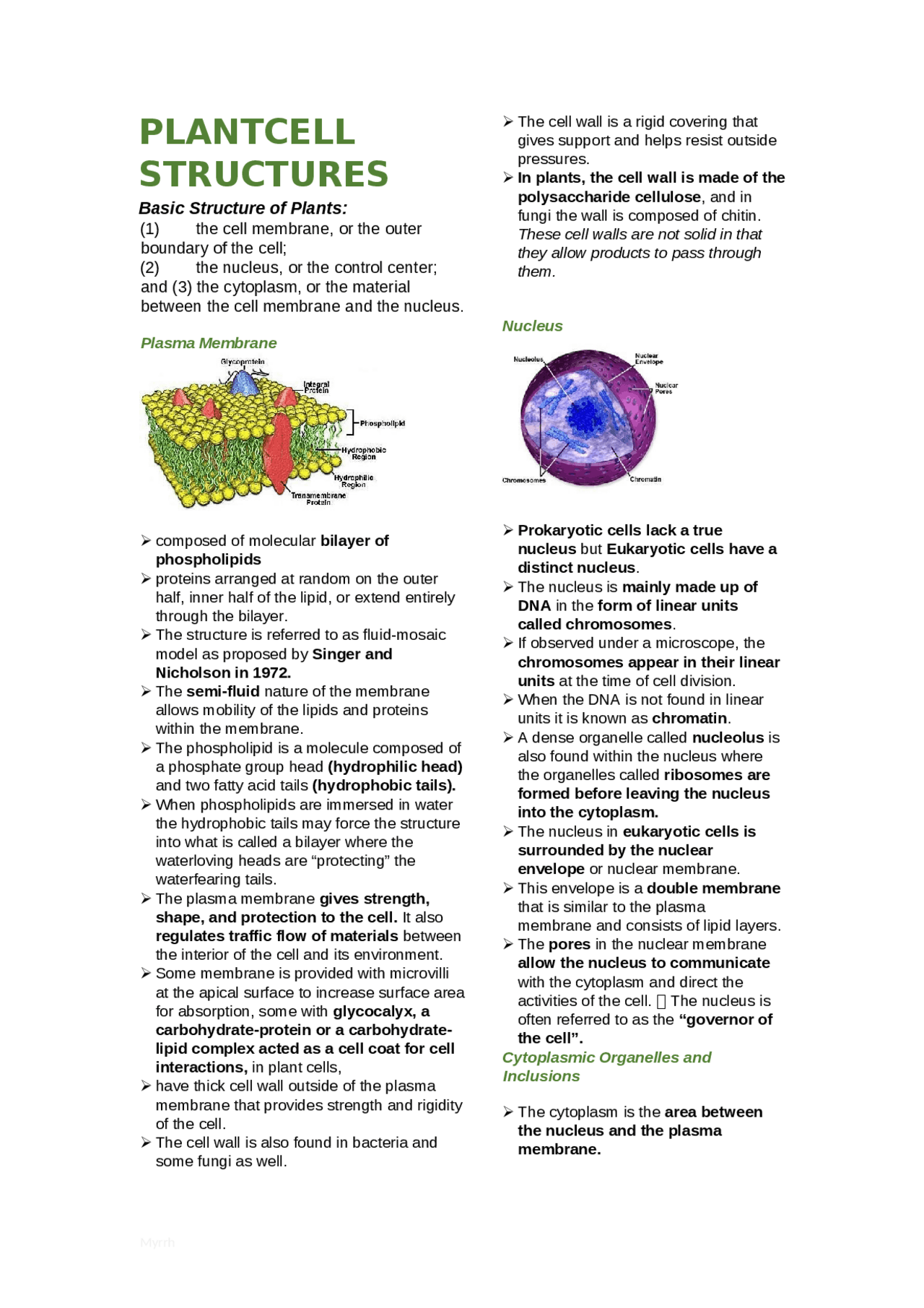 Structure of the plantcell - Docsity