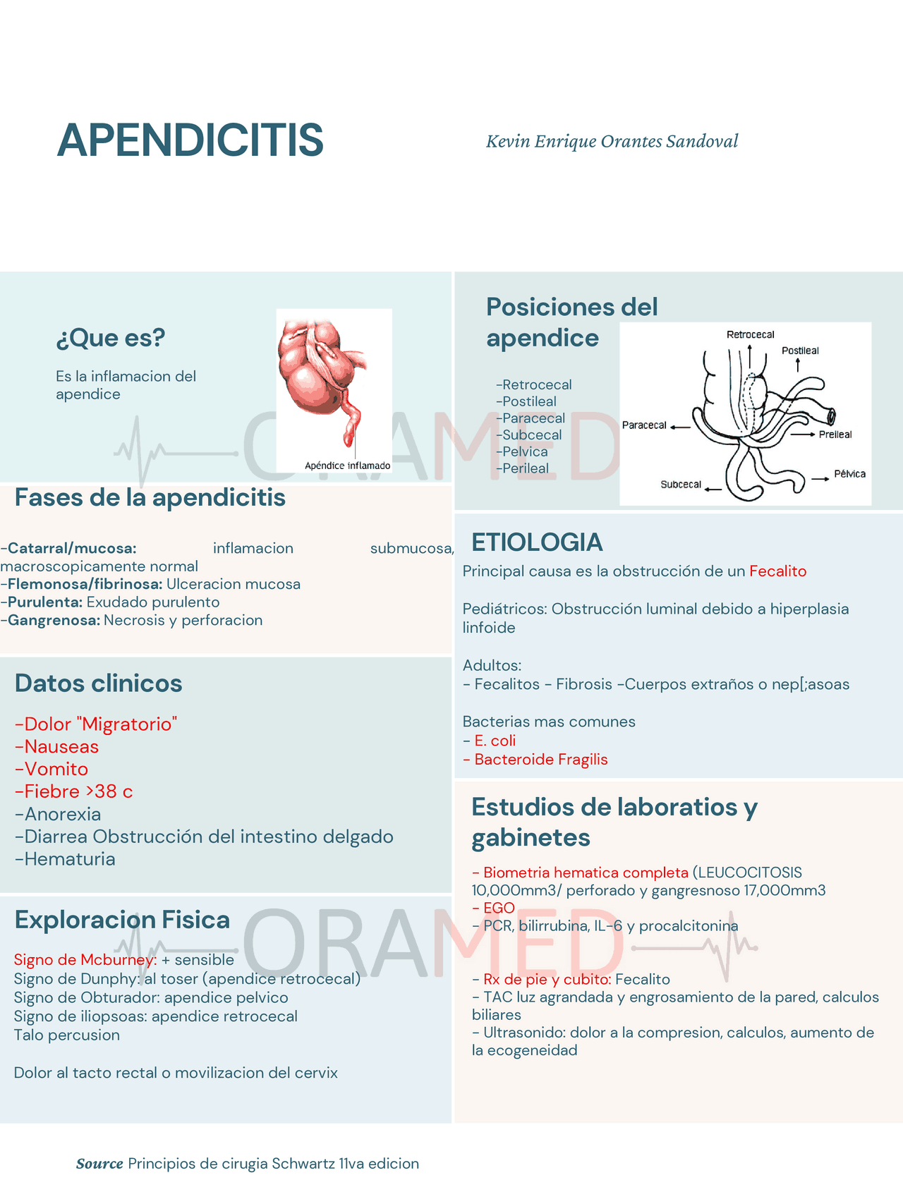 Infografia De Apendicitis Aguda Docsity