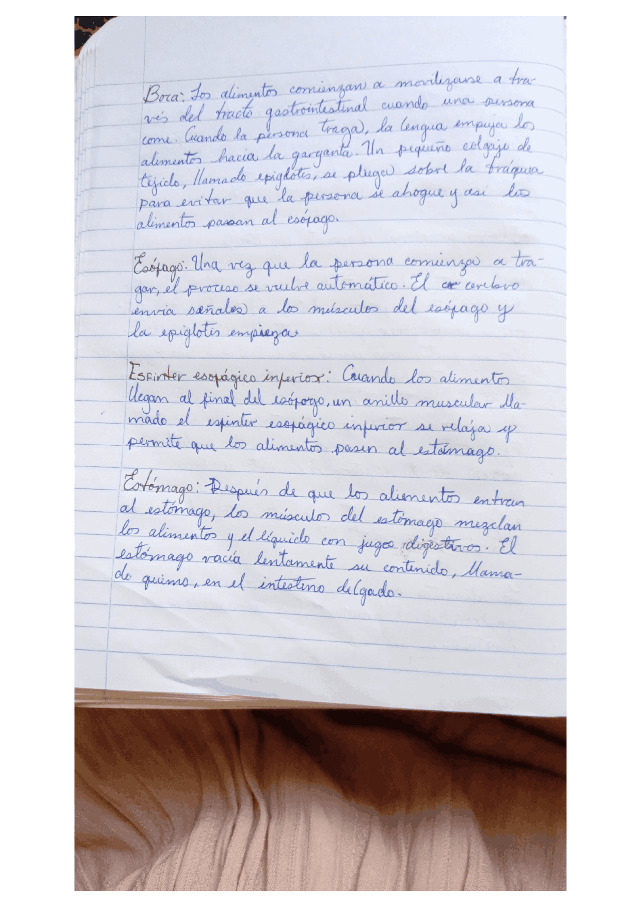Cuestionario De Biologia Docsity