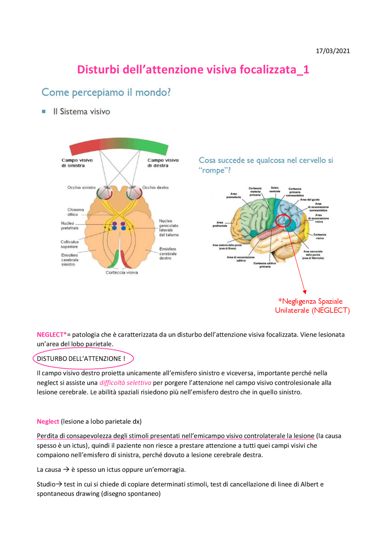Lezione 9 Psicologia Cognitiva Docsity