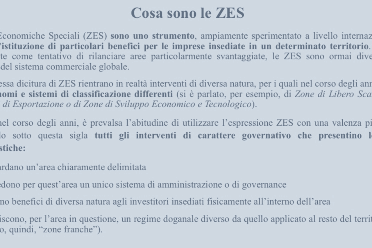 Zes Schemi E Sintesi Docsity