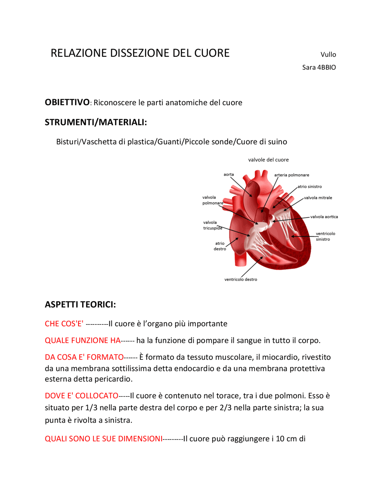 Relazione Dissezione Cuore Guide Progetti E Ricerche Di Anatomia
