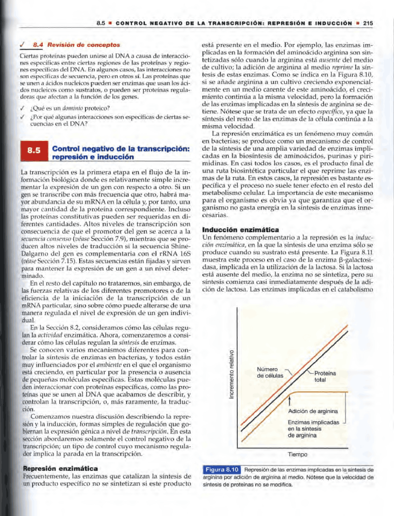 Expresión de genes, resumen - Docsity