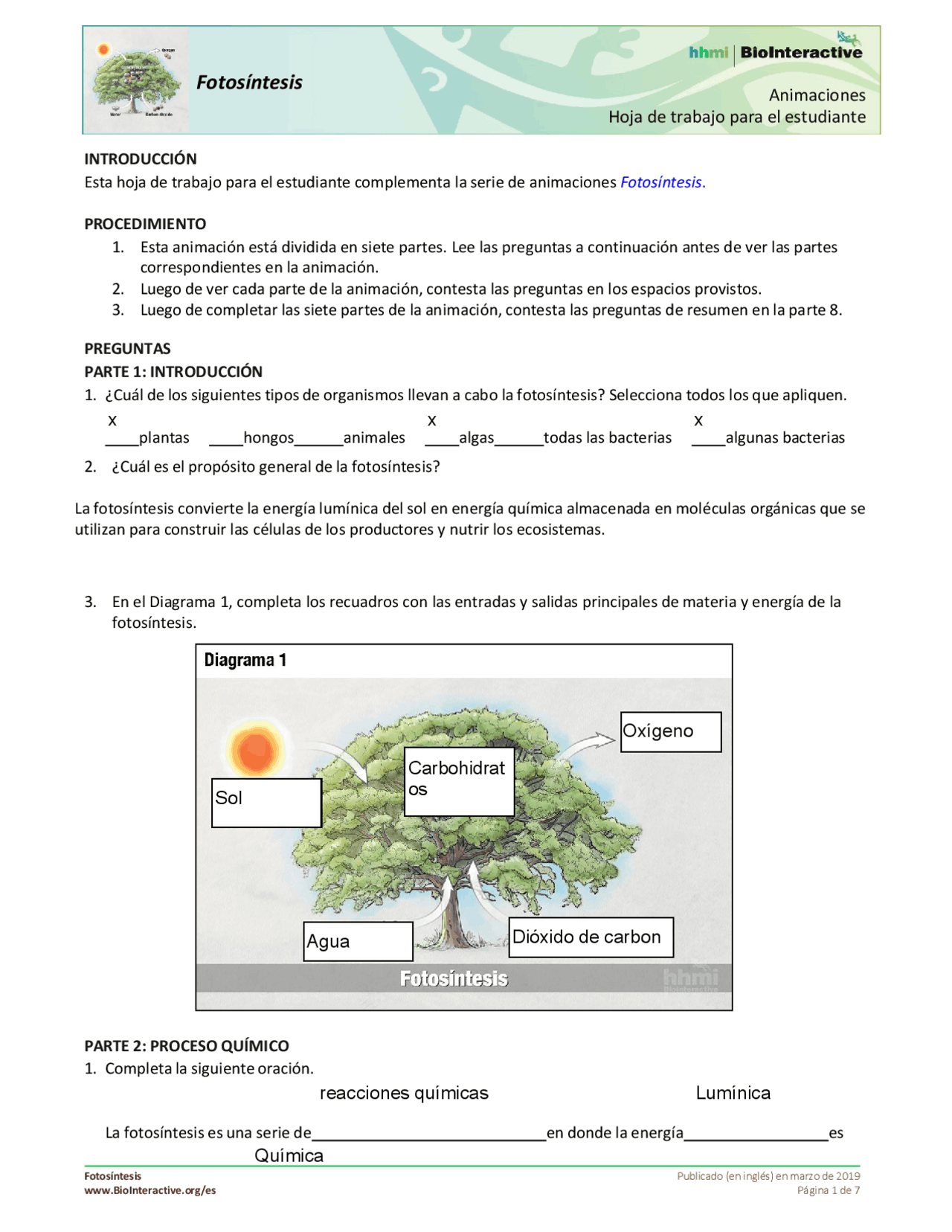 Hoja De Trabajo Con Descripción General De Reacciones Químicas Sofia