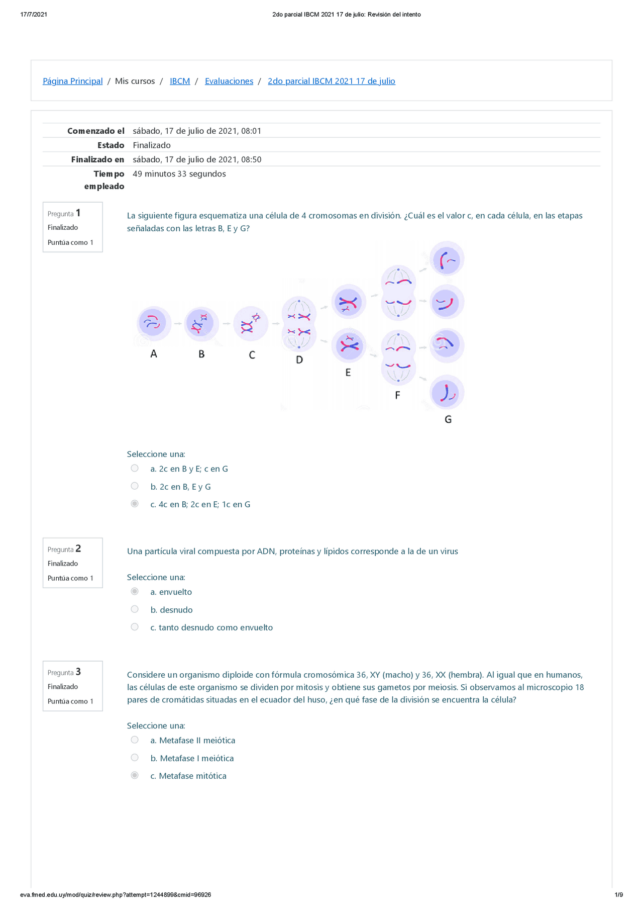 Resumen Ibcmparcial Docsity