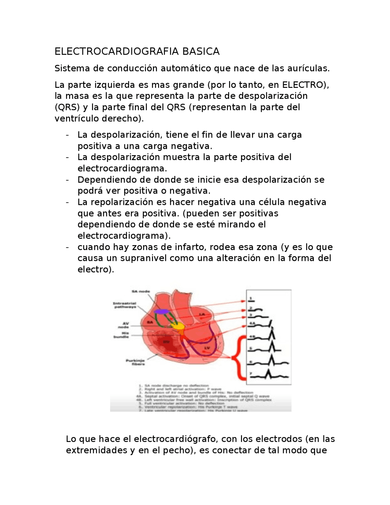 Electrocardiograma Apuntes Y Demas Docsity