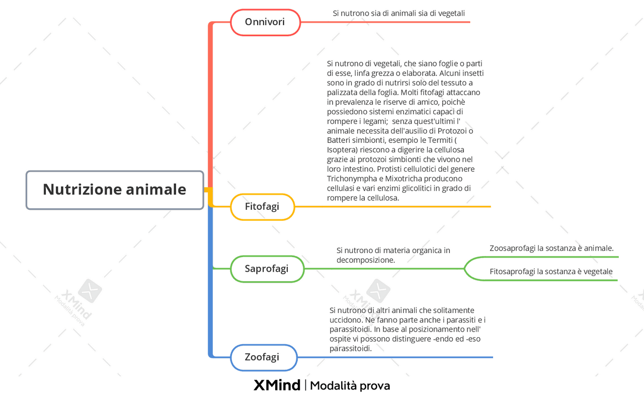 SCHEMA NUTRIZIONE ANIMALE - Docsity
