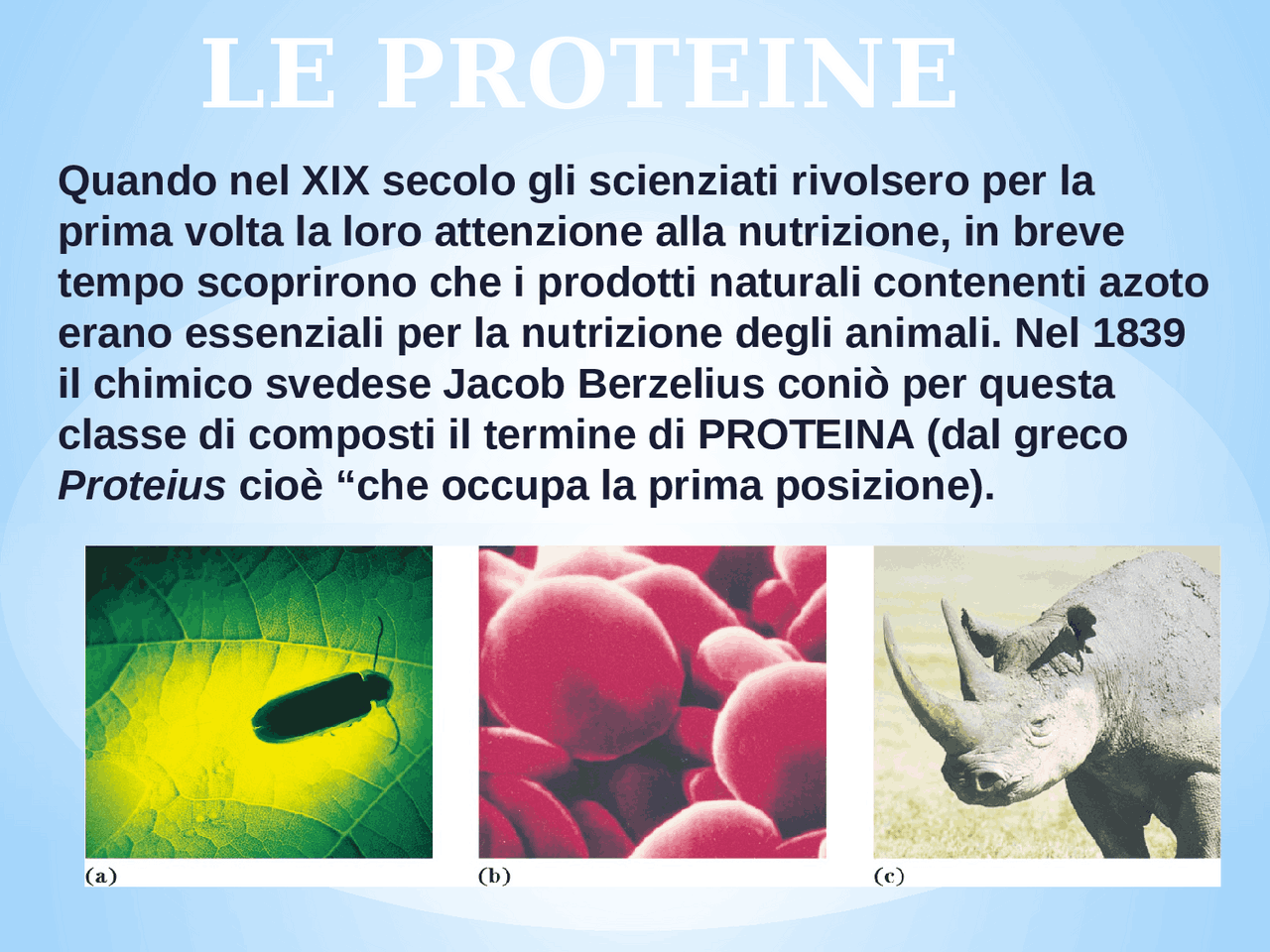 Proteine... chimica deglia alimenti - Docsity