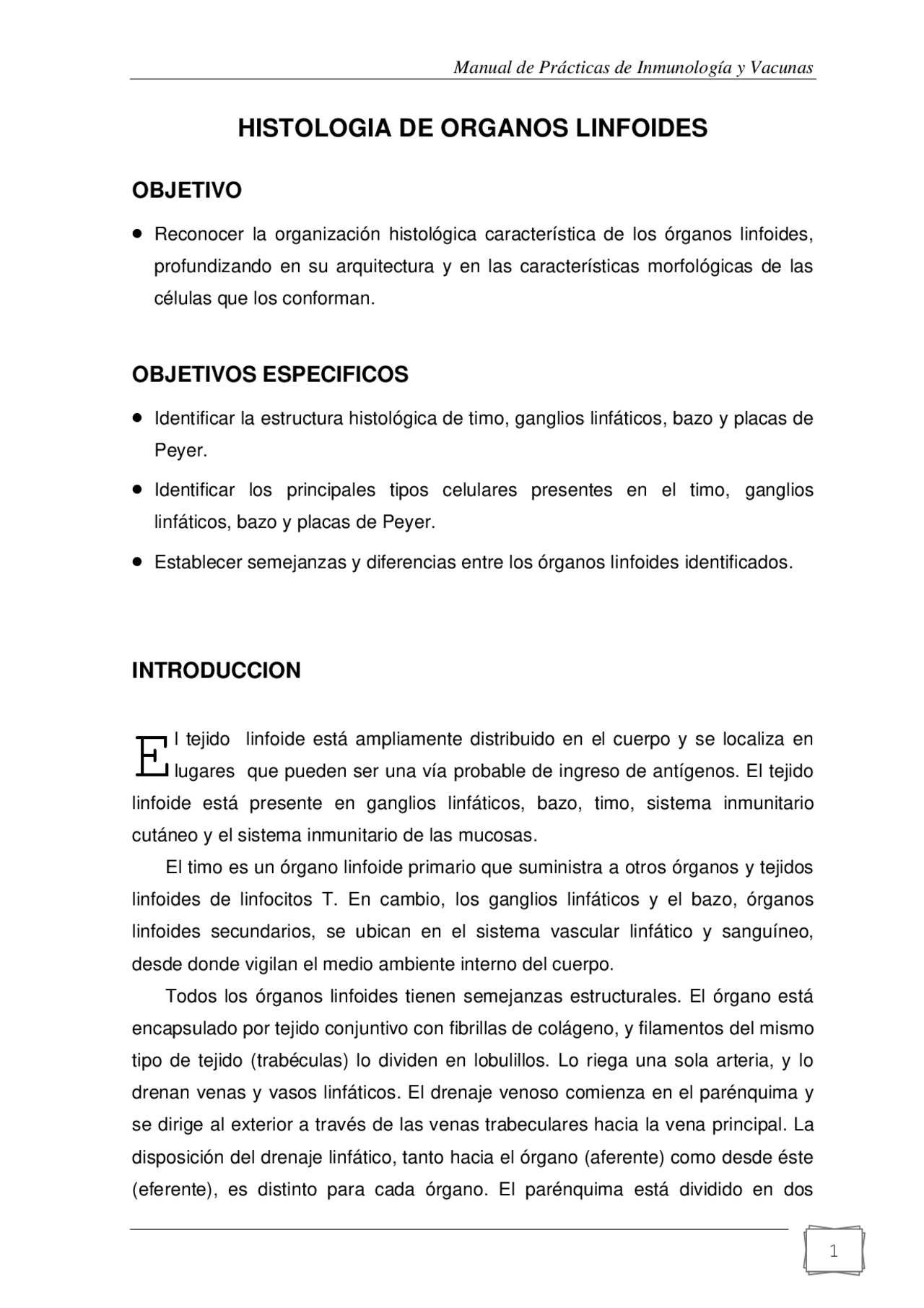 Órganos Linfoides Práctica De Inmunología Guías Proyectos