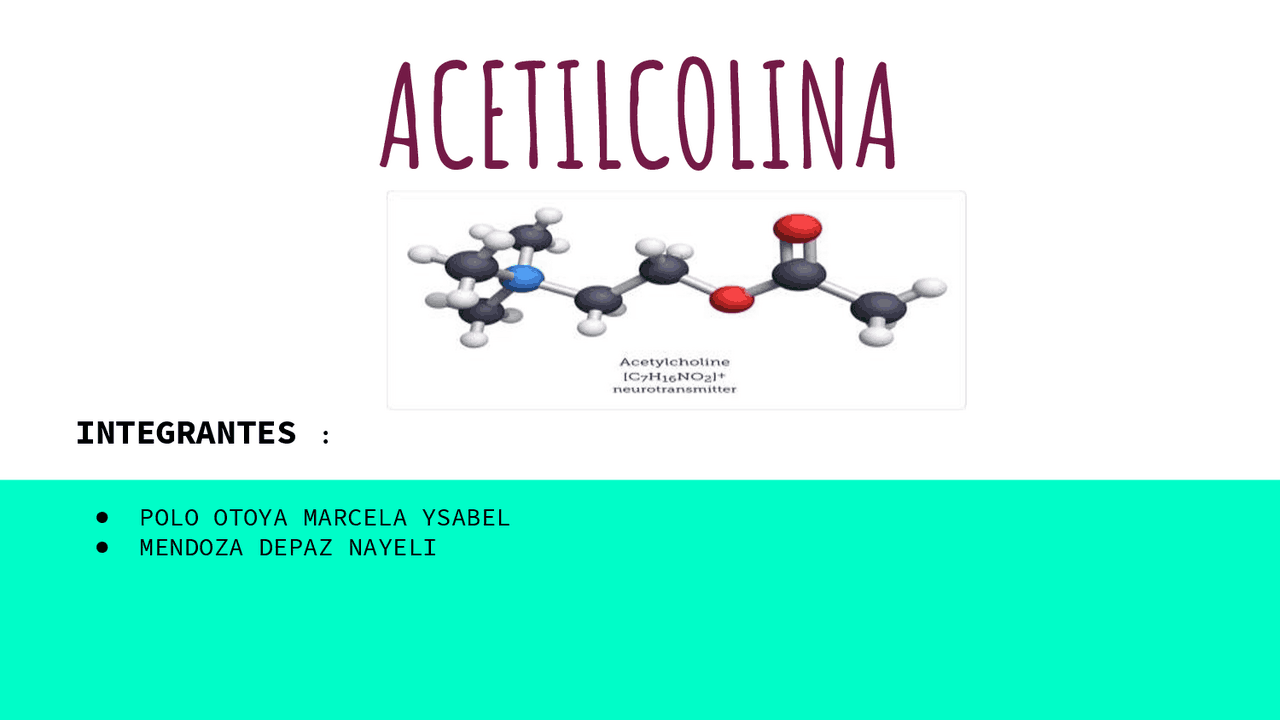 DIAPOSITIVAS DE ACETILCOLINA - Docsity