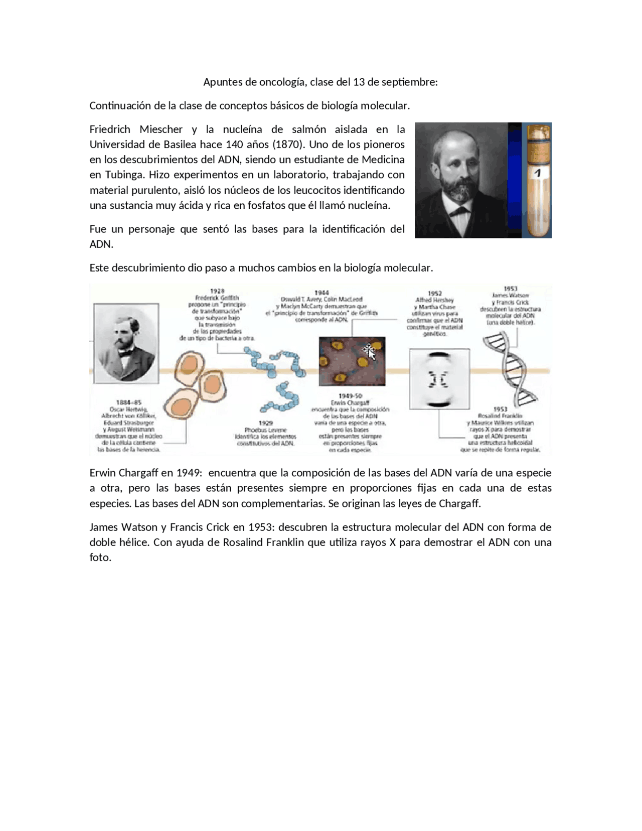 Resumen De Oncología Docsity