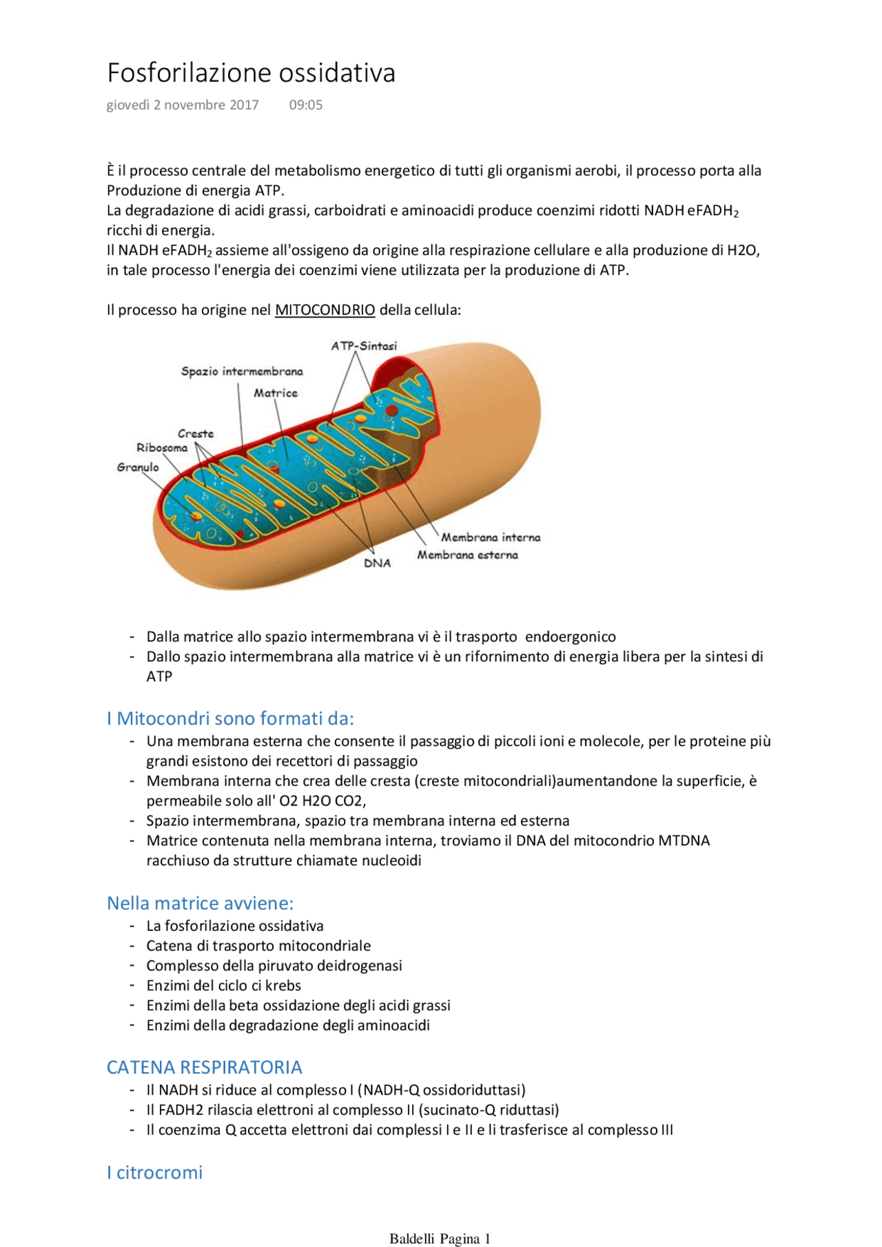 Preparazione Esame Biochimica Docsity