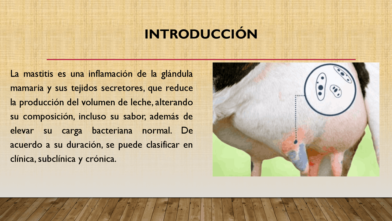 LA MASTITIS BOVINA EN DIAPOSITIVAS | Diapositivas de Enfermedades ...