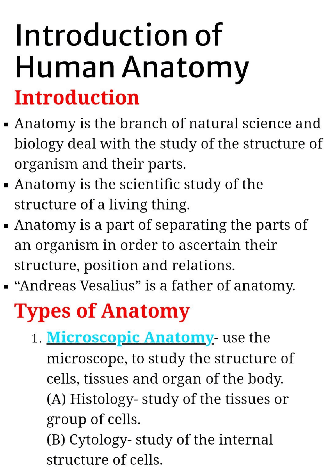 Anatomy Docsity