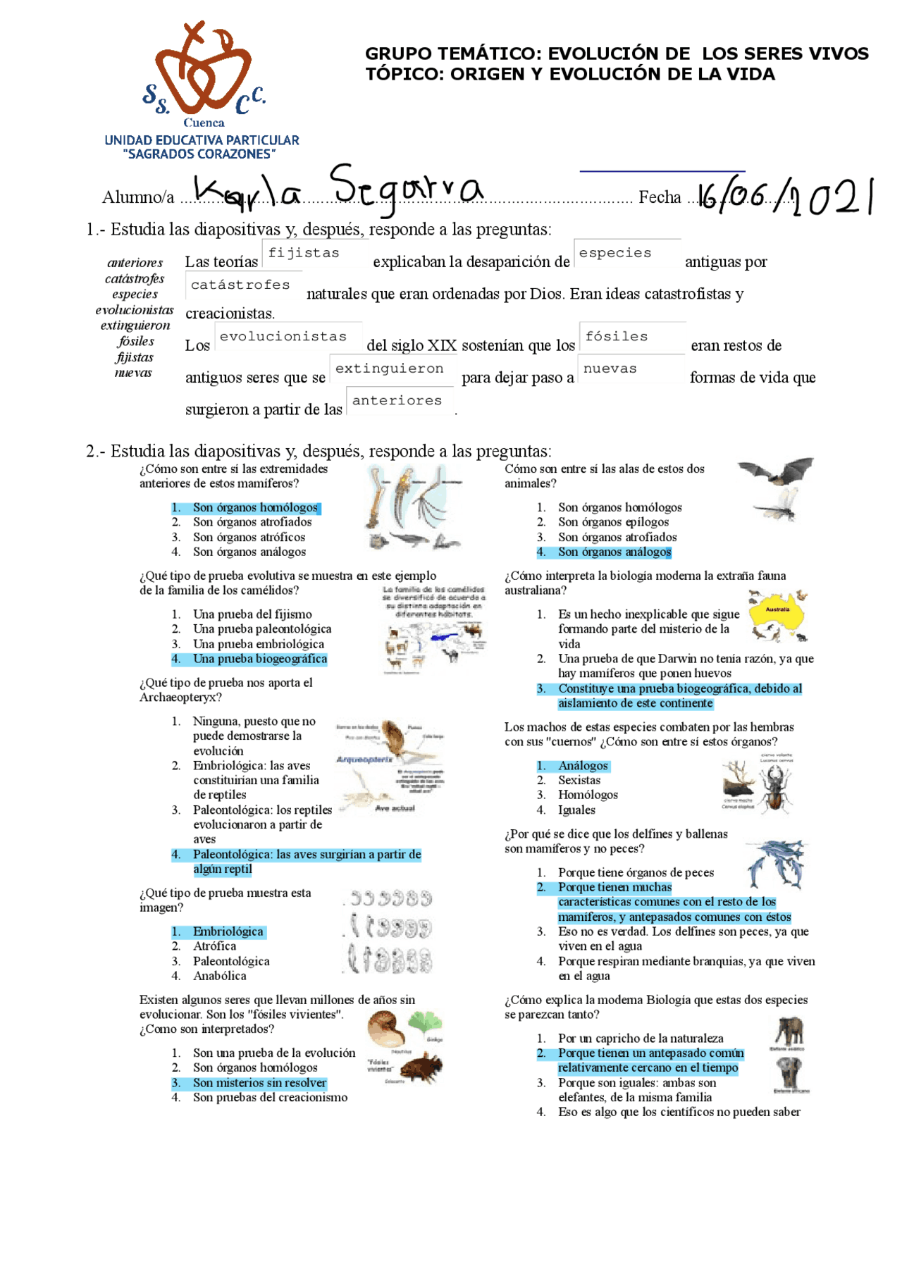Documento de repaso - Evolución - Docsity