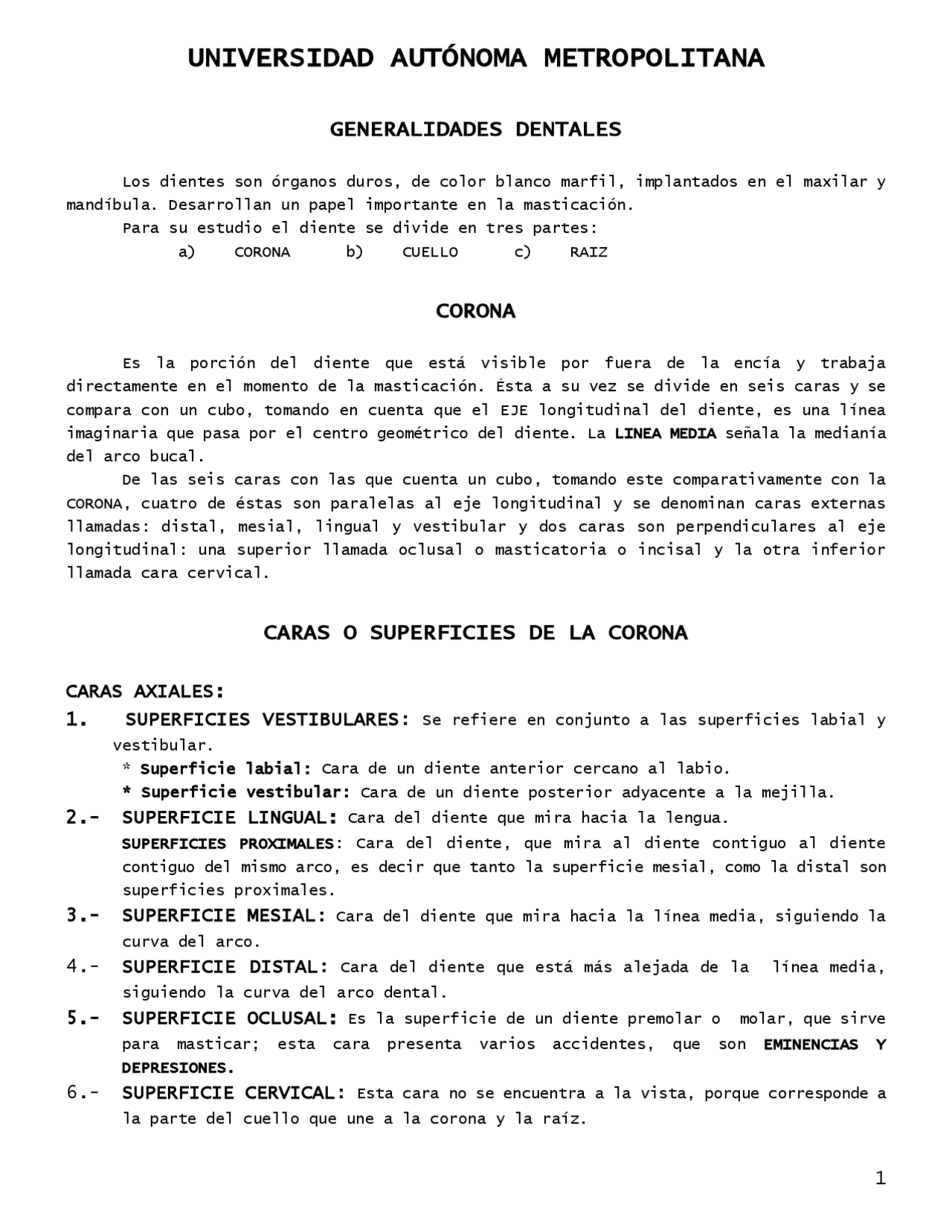 Anatomia Dental Generalidades Docsity