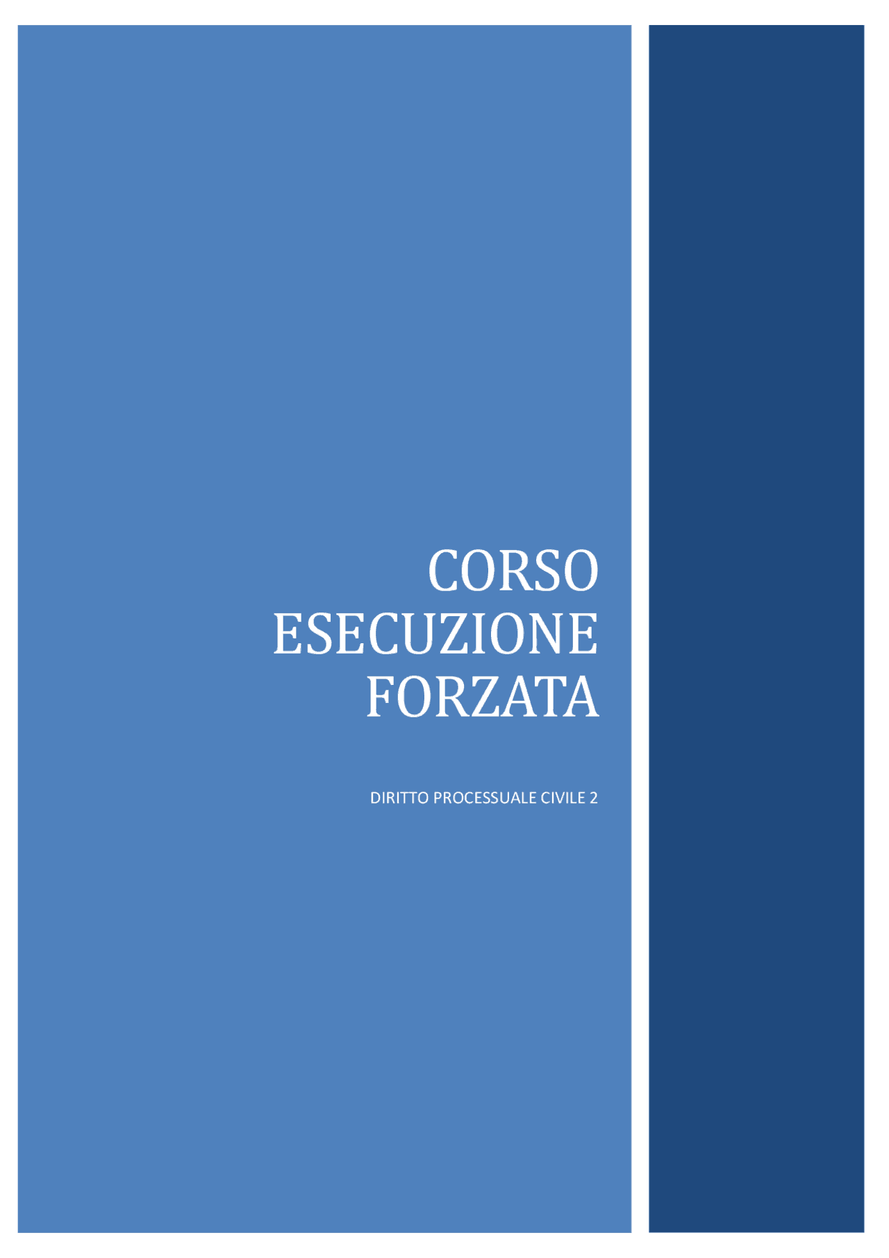 Esecuzione Forzata Finocchiaro Appunti Completi Docsity