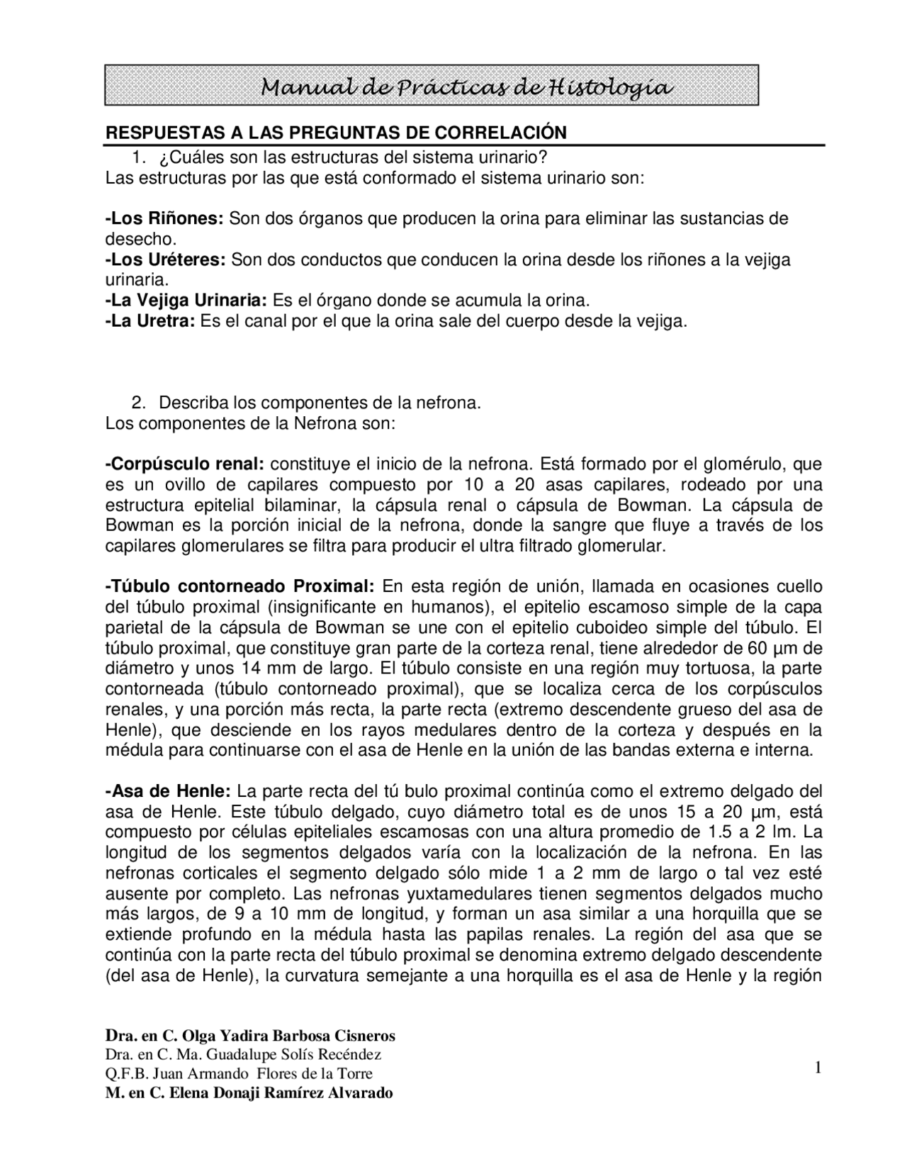 P12 Sistema Urinario Docsity