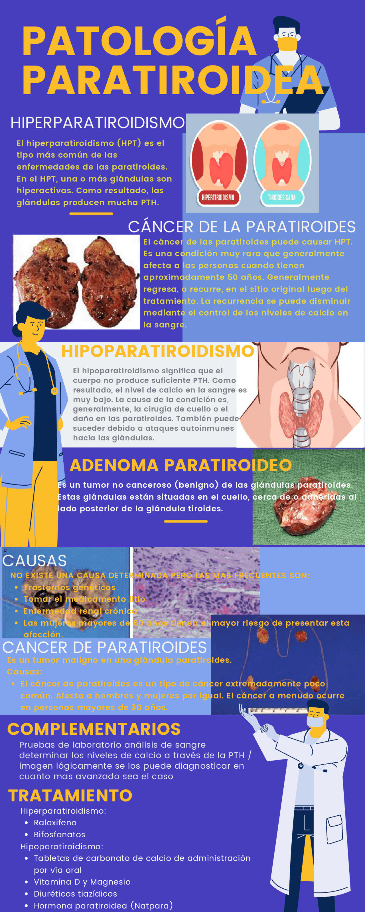 Apuntes De Cirugía General Docsity