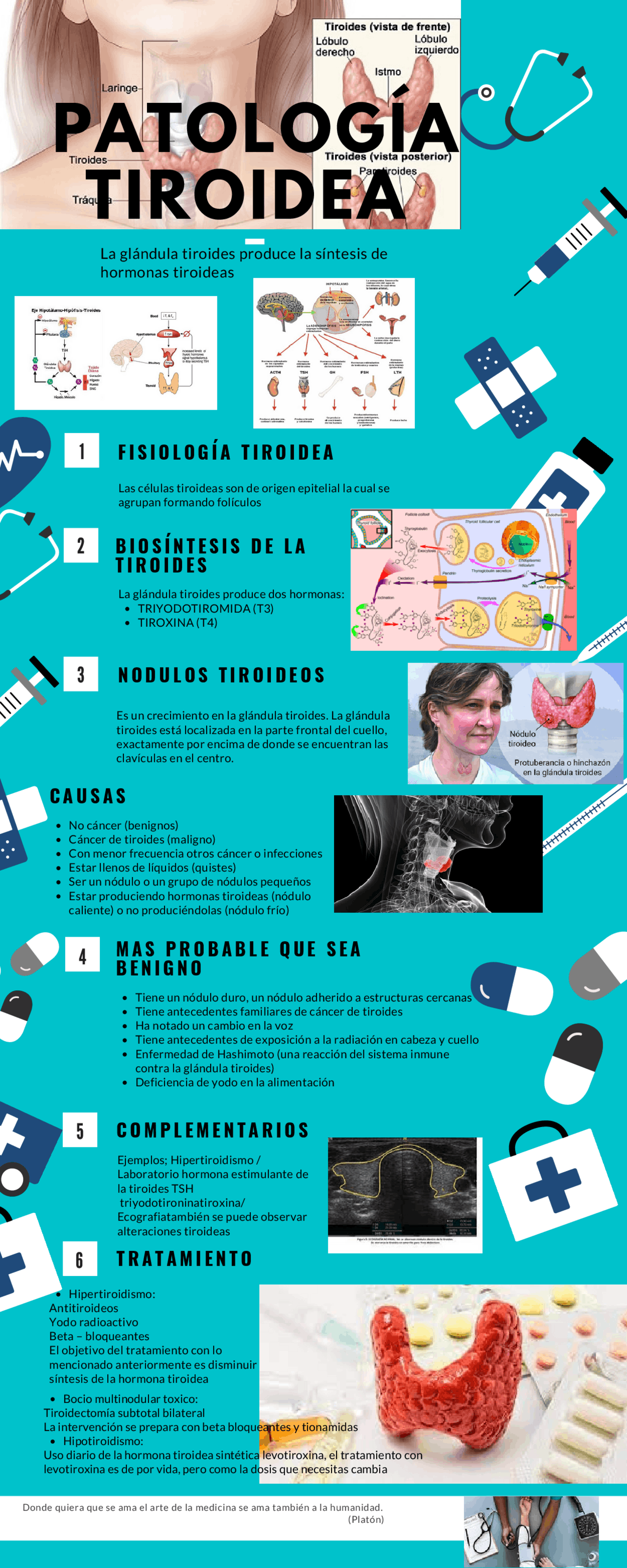 Apuntes De Cirugía General Docsity