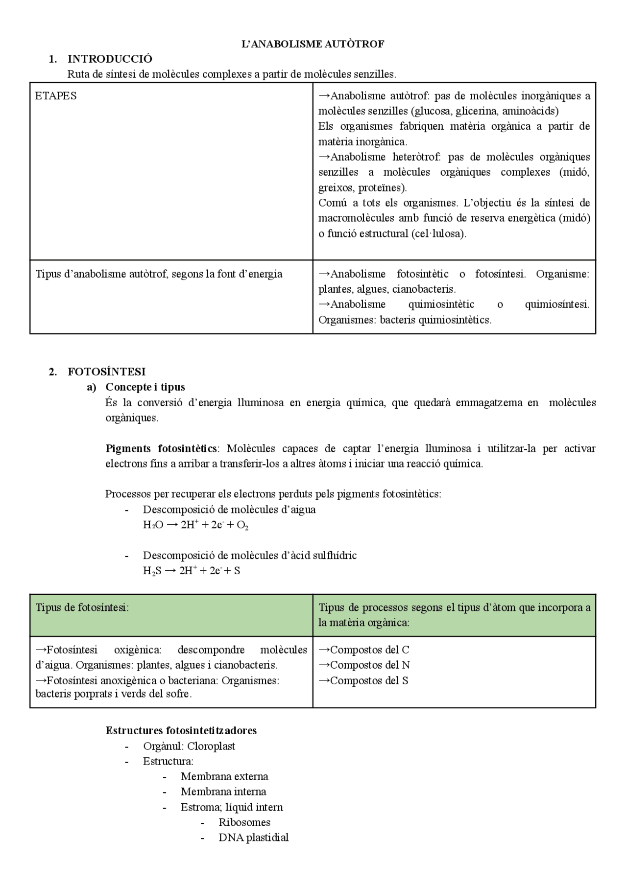 Què és El Anabolisme Autòtrof Docsity