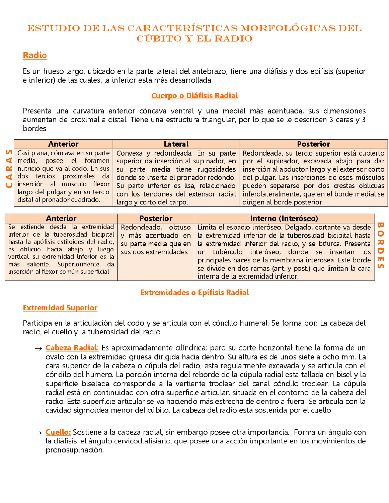 Guias De Morfofisiologia Ii Docsity