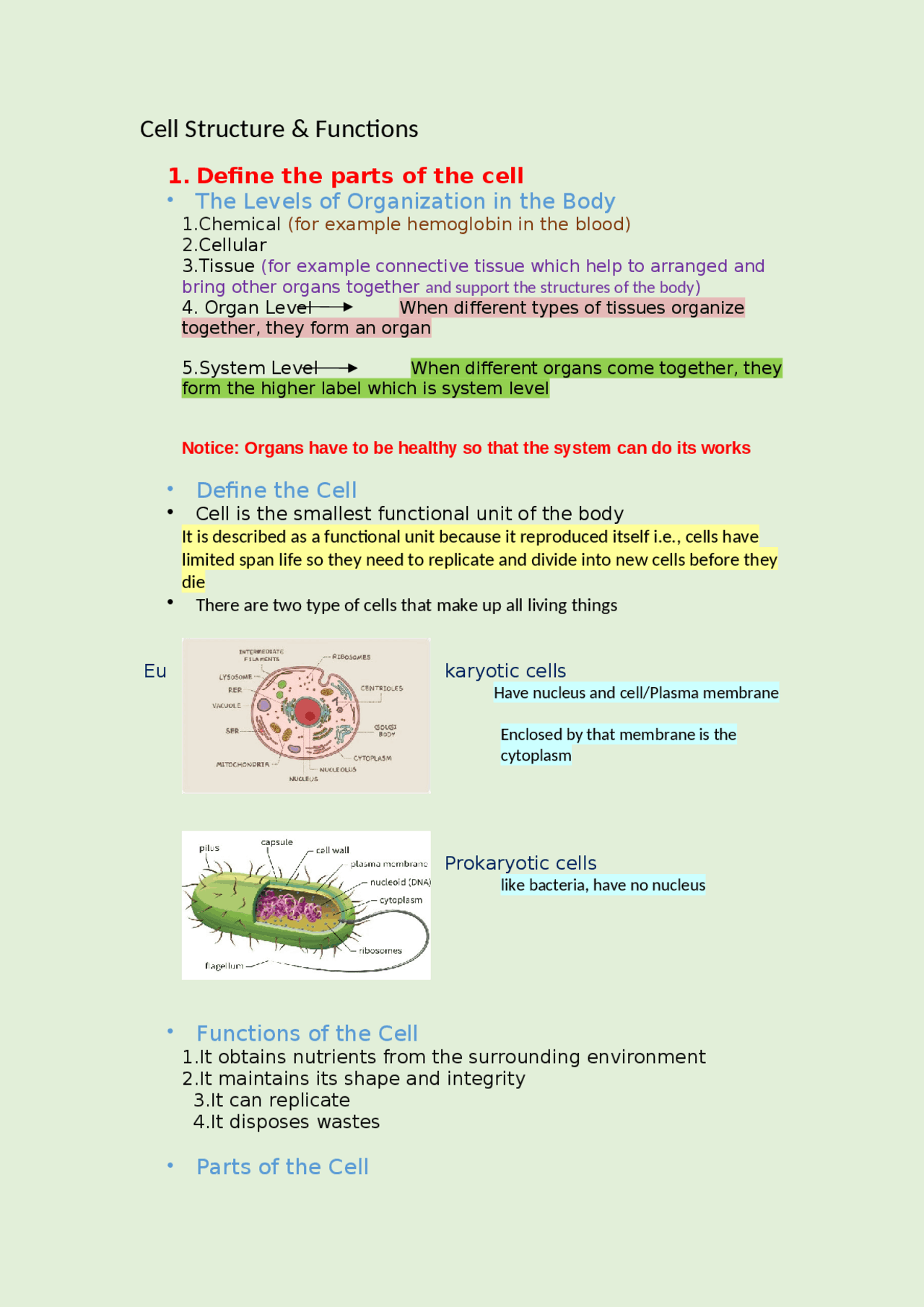 Define The Cell Structure And Function Docsity