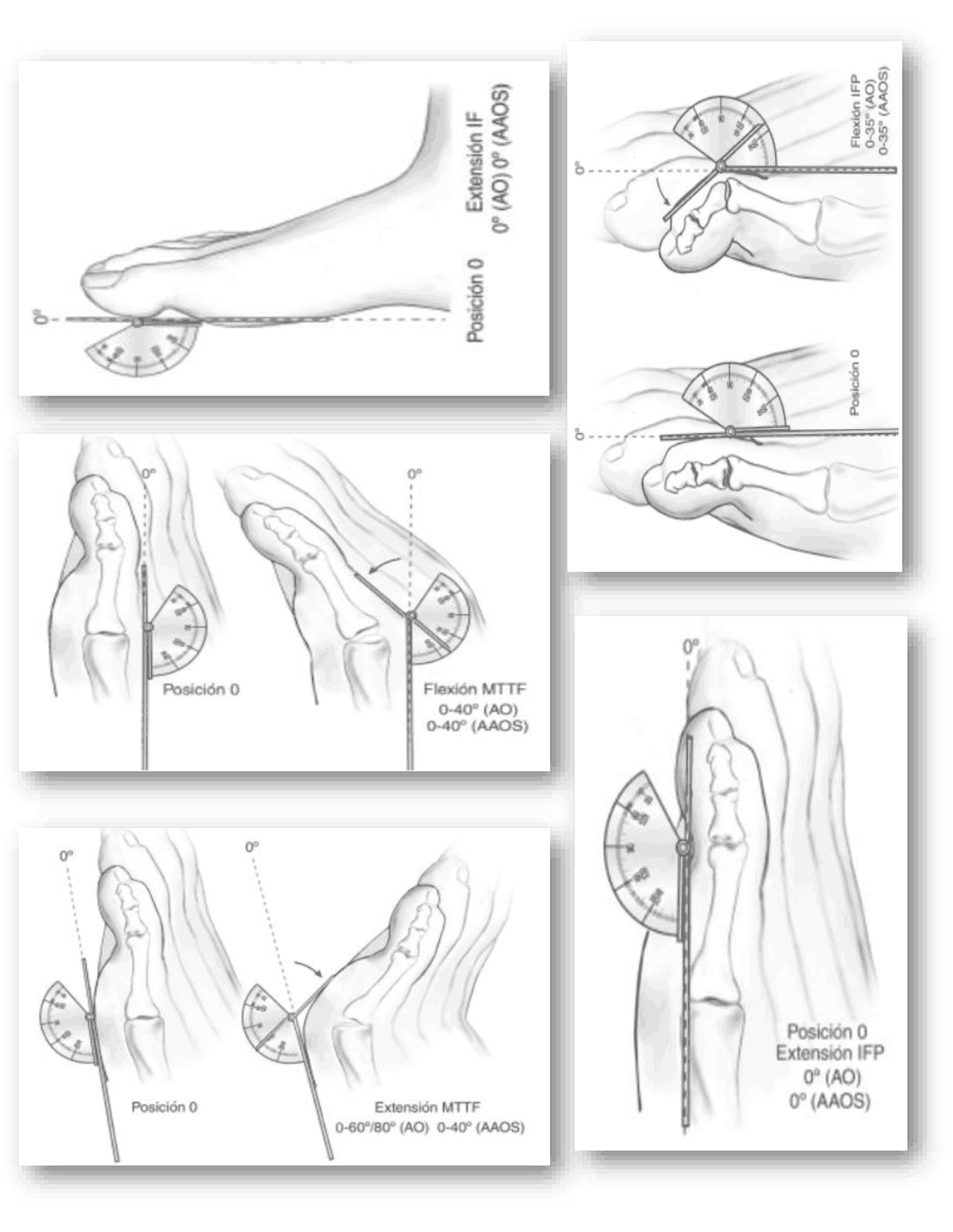 Goniometria Del Cuerpo Humano Docsity