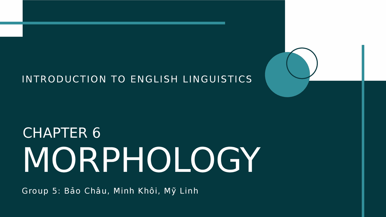 Introduction To Morphology Docsity