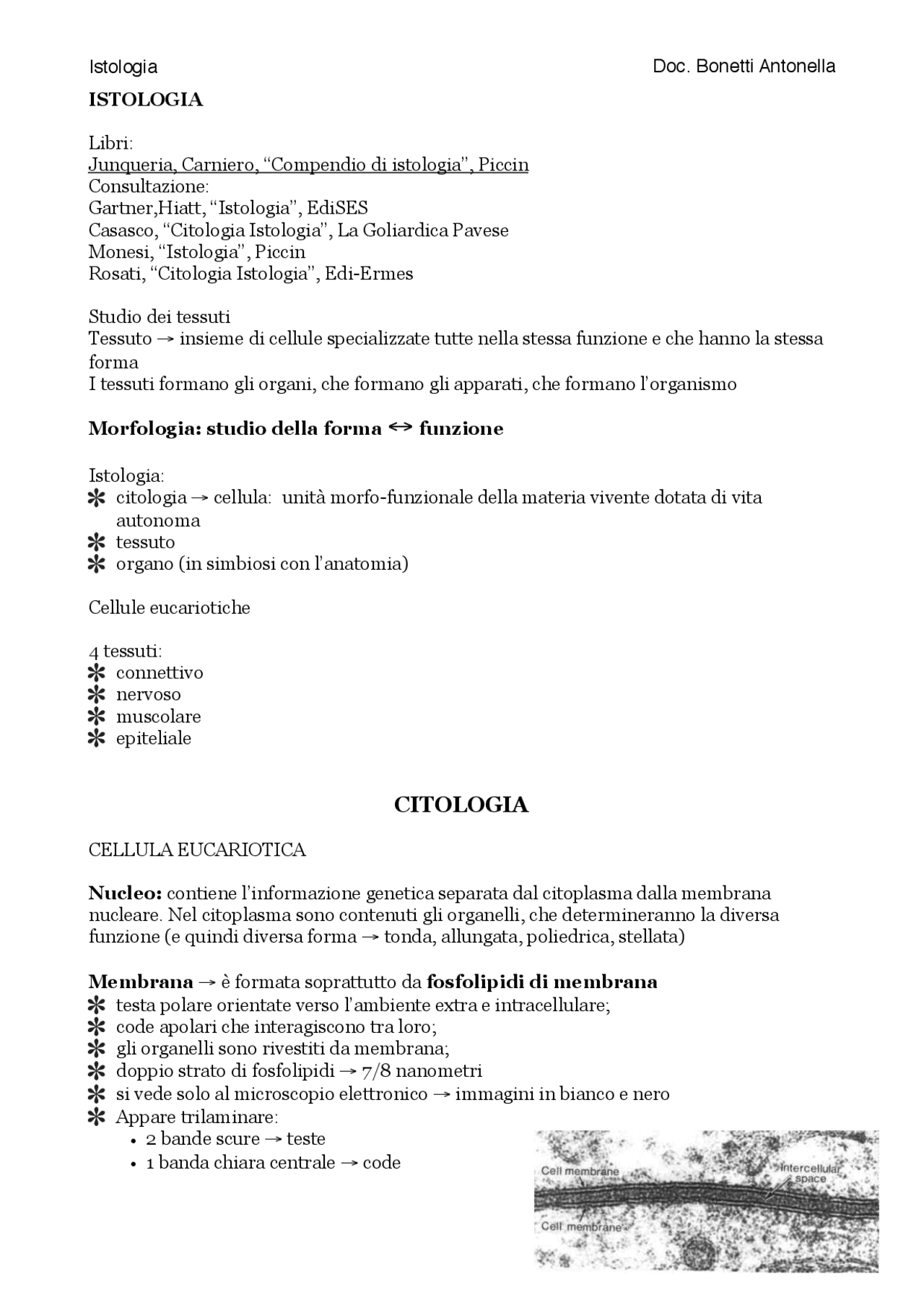 Istologia Riassunto Completo Scienze Motorie Docsity