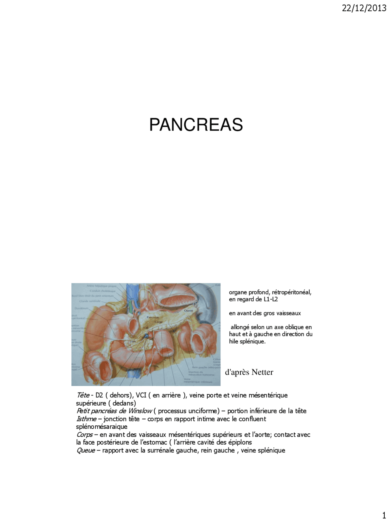 Presentation sur le Pancréas - Docsity