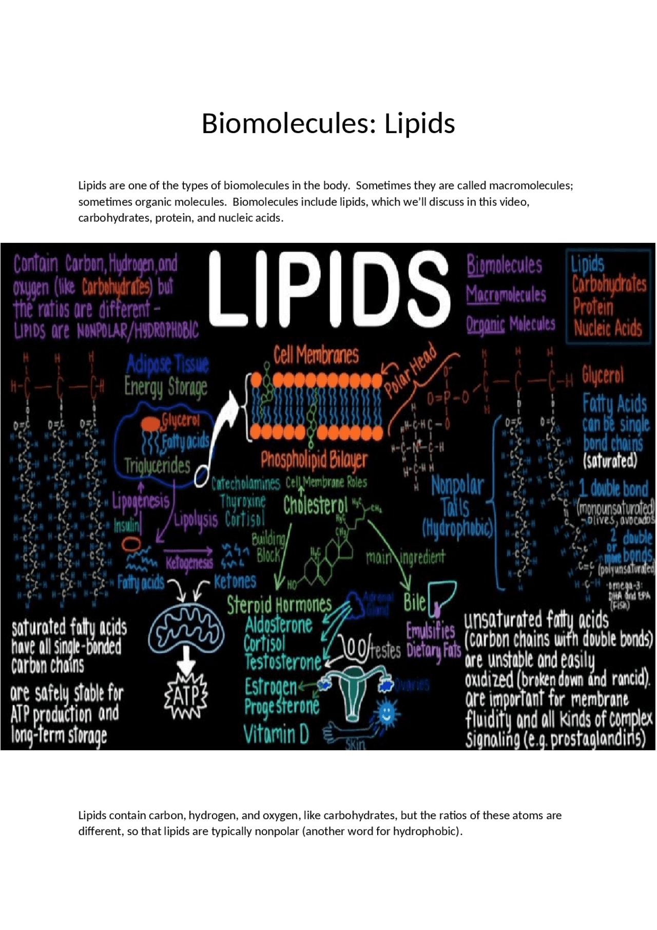 Biomolecules Lipids notes for healthcare and medical student - Docsity