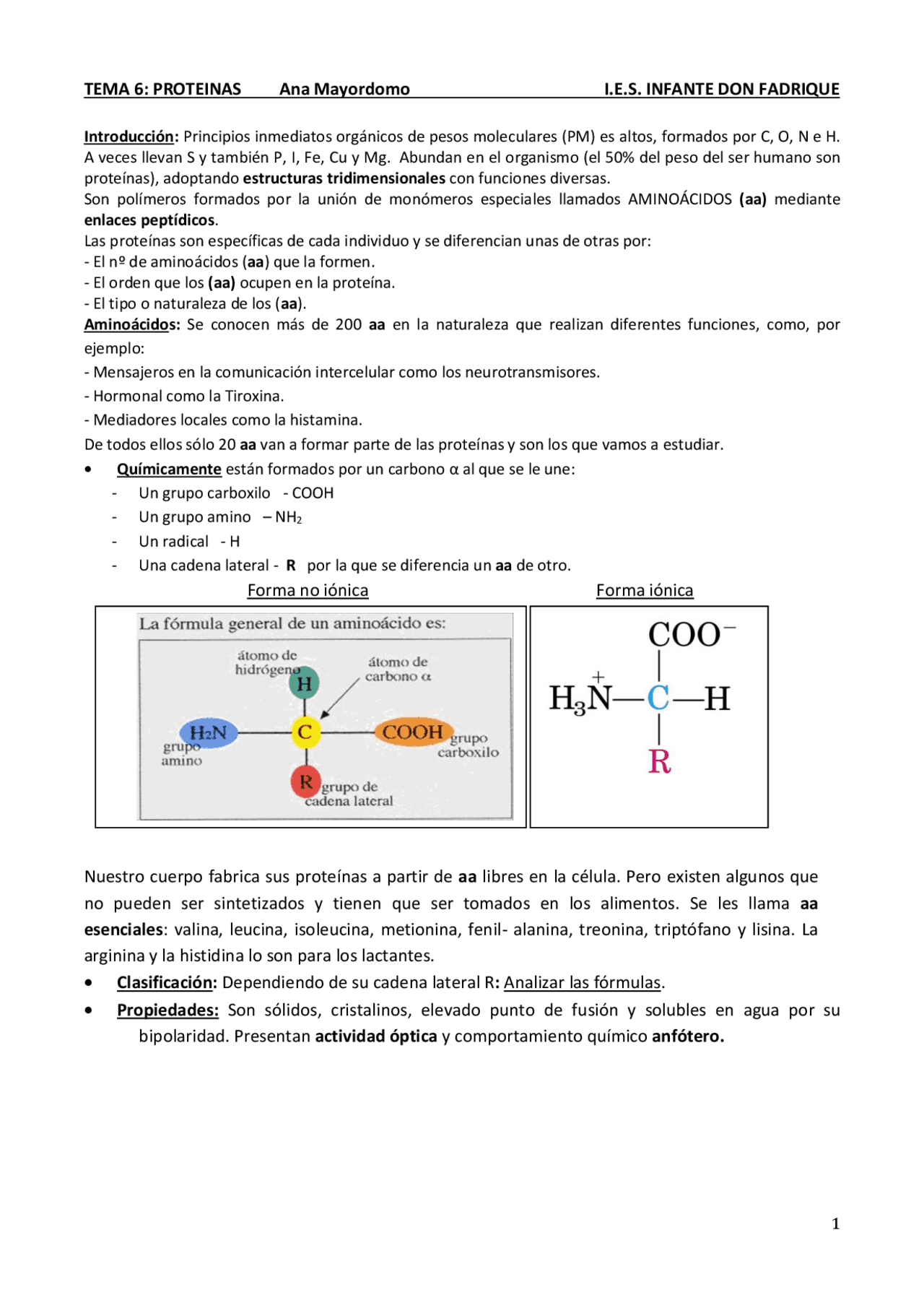 Proteínas Y Sus Funciones Apuntes De Biología Docsity