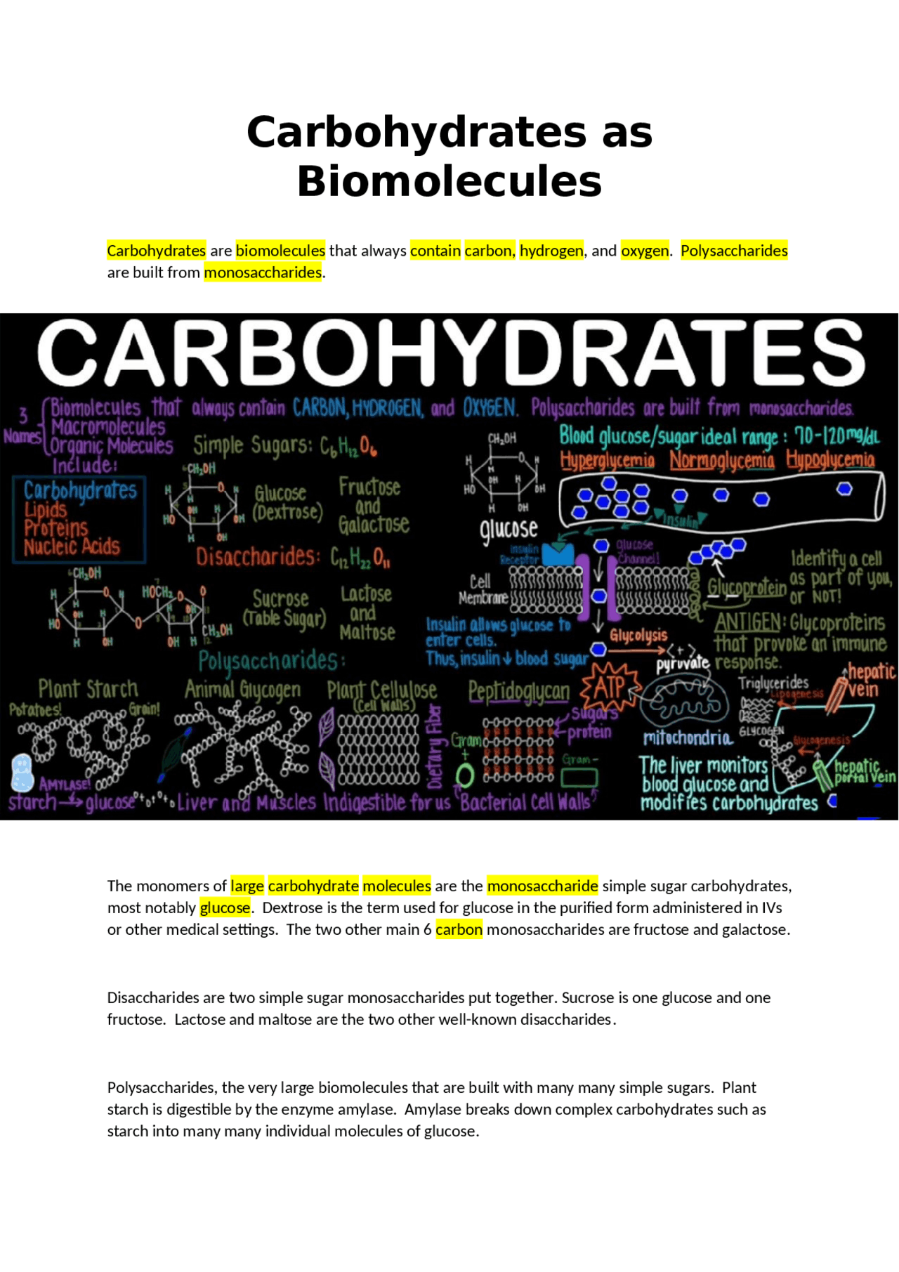 Carbohydrates as Biomolecules ( medical professional notes ) - Docsity