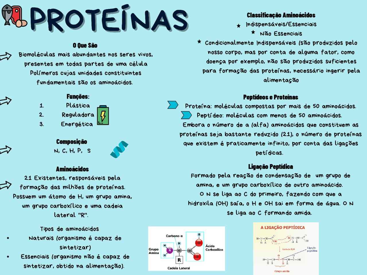 proteinas é um tipo de substância formada a partir de um conjunto de ...