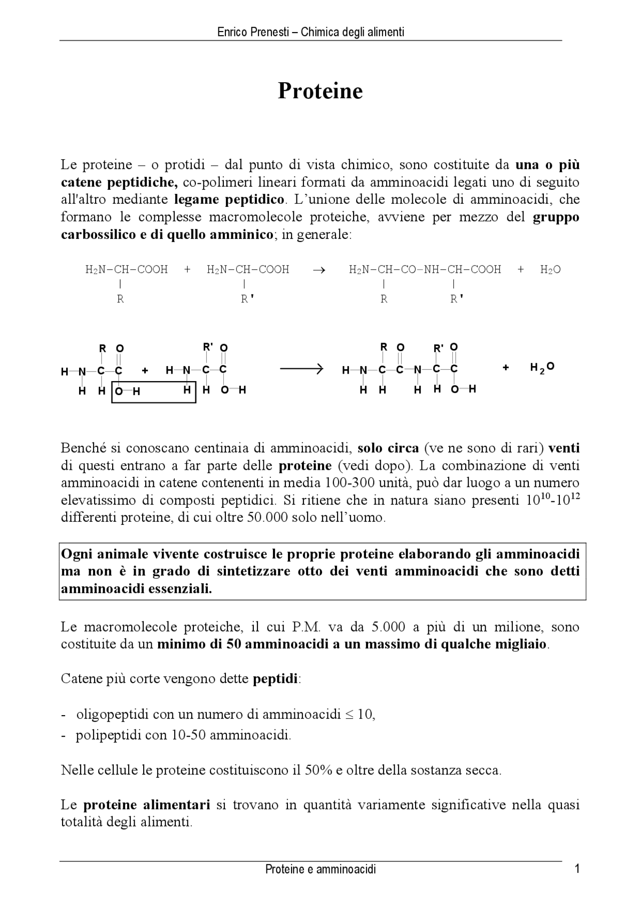 Proteine E Amminoacidi Docsity