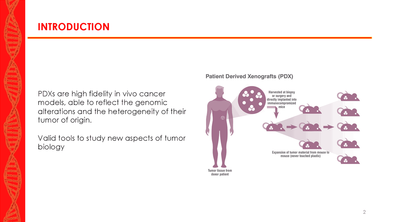 The genetic basis of cancer - Docsity