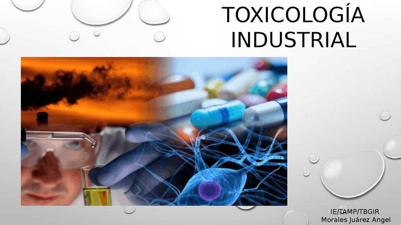 Toxicología Industrial Diapositivas De Gestión Industrial Docsity
