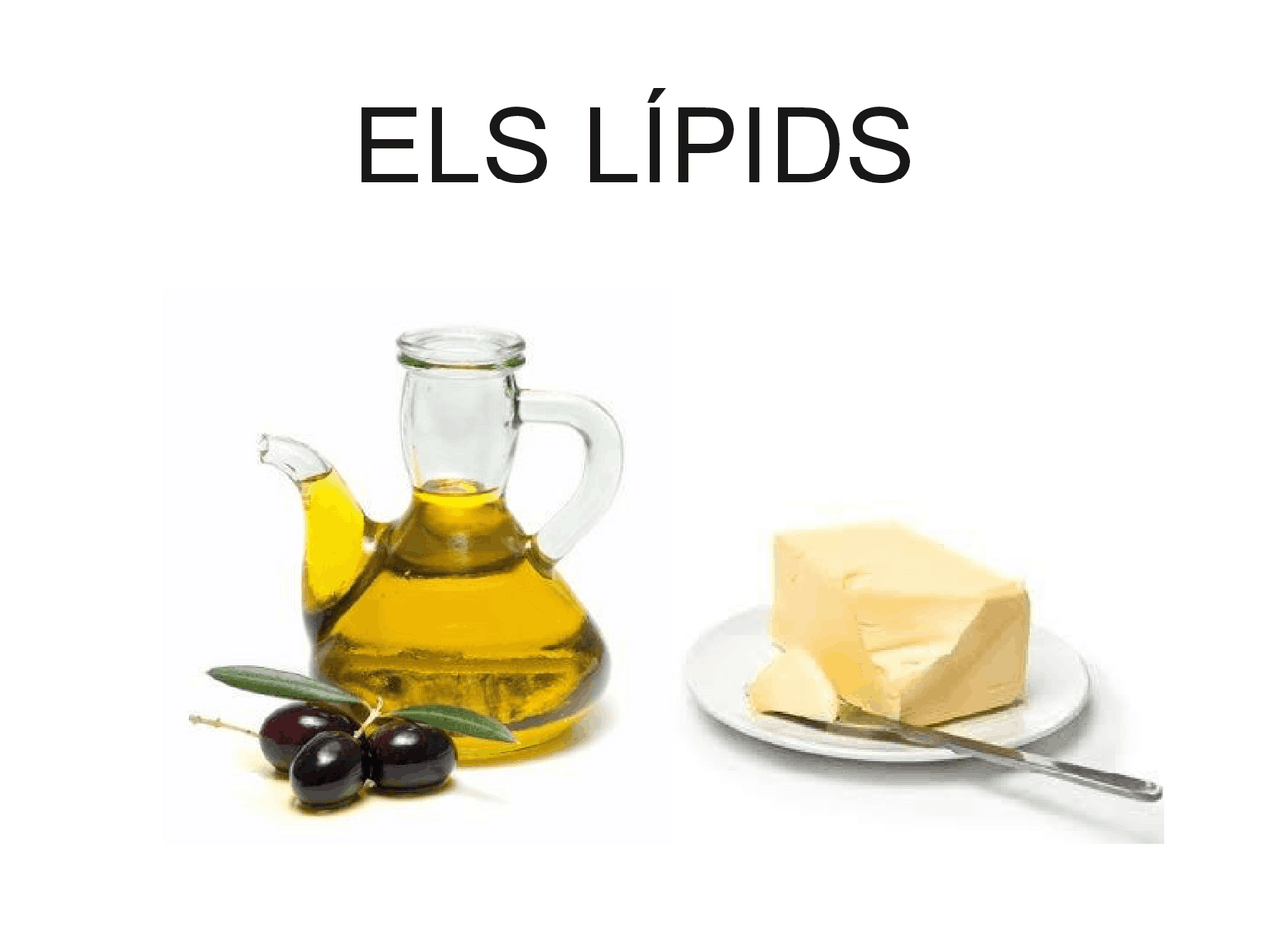 Lipids 1r Batxillerat Docsity