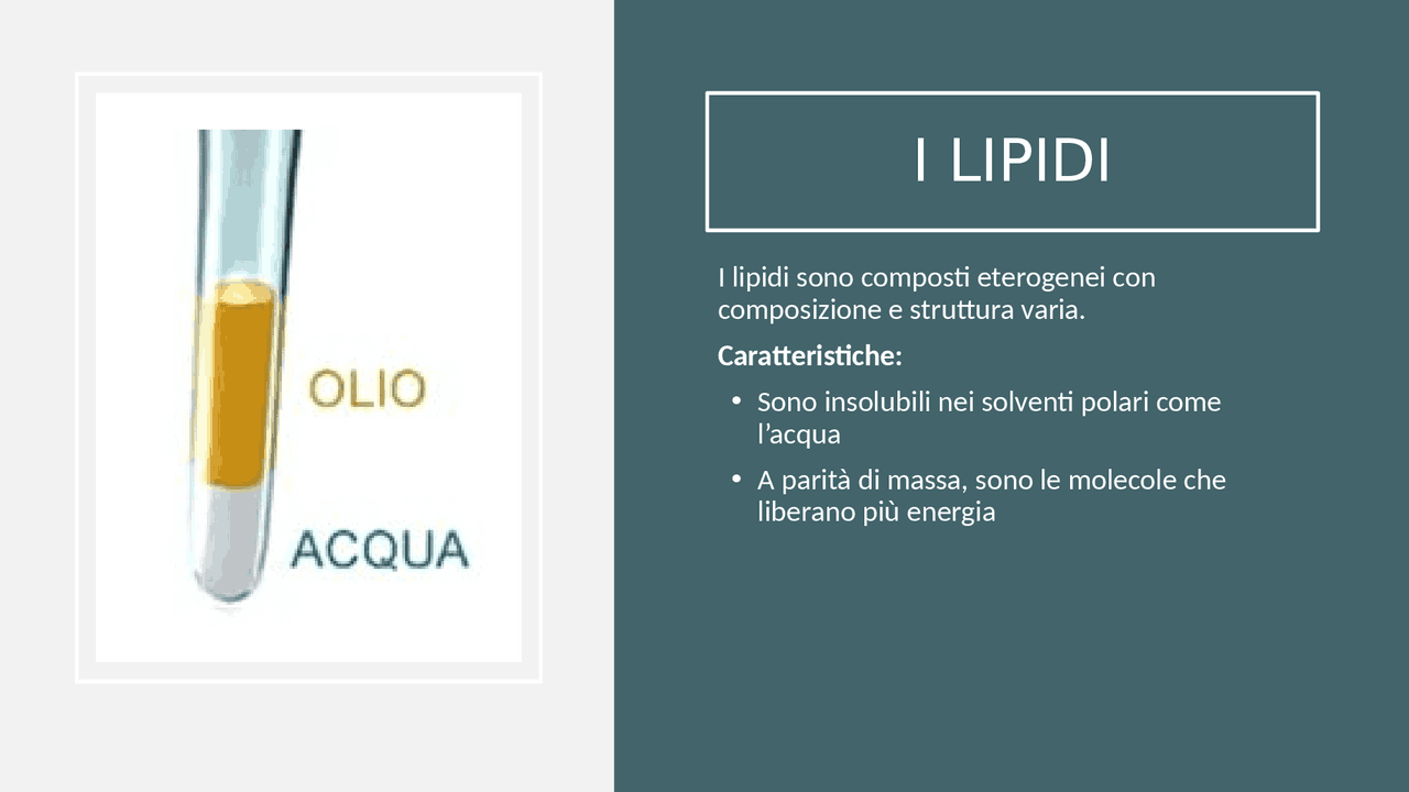 Powerpoint Sui Lipidi Docsity