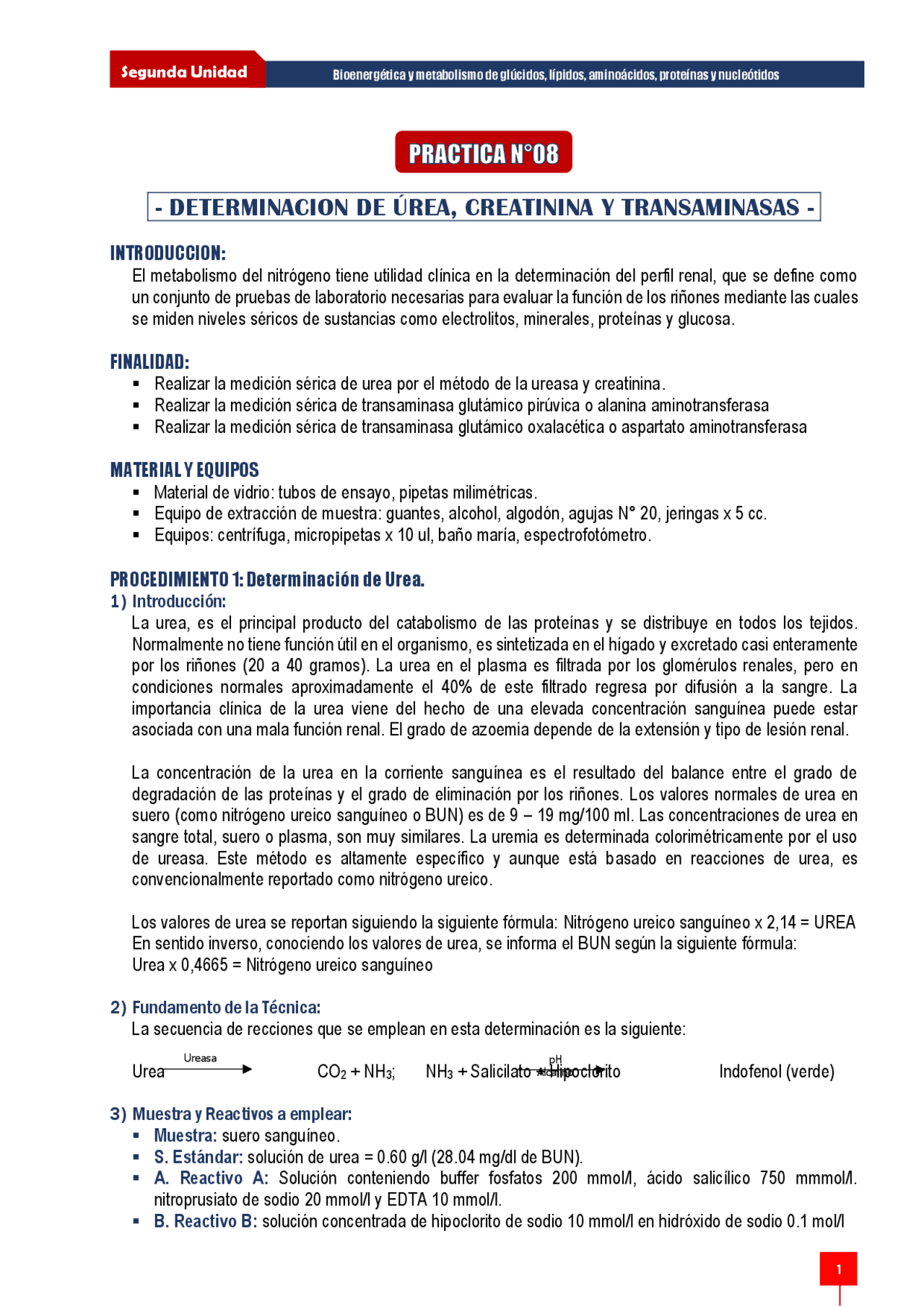 DETERMINACION DE UREA CREATININA Y TRANSAMINASAS - Docsity