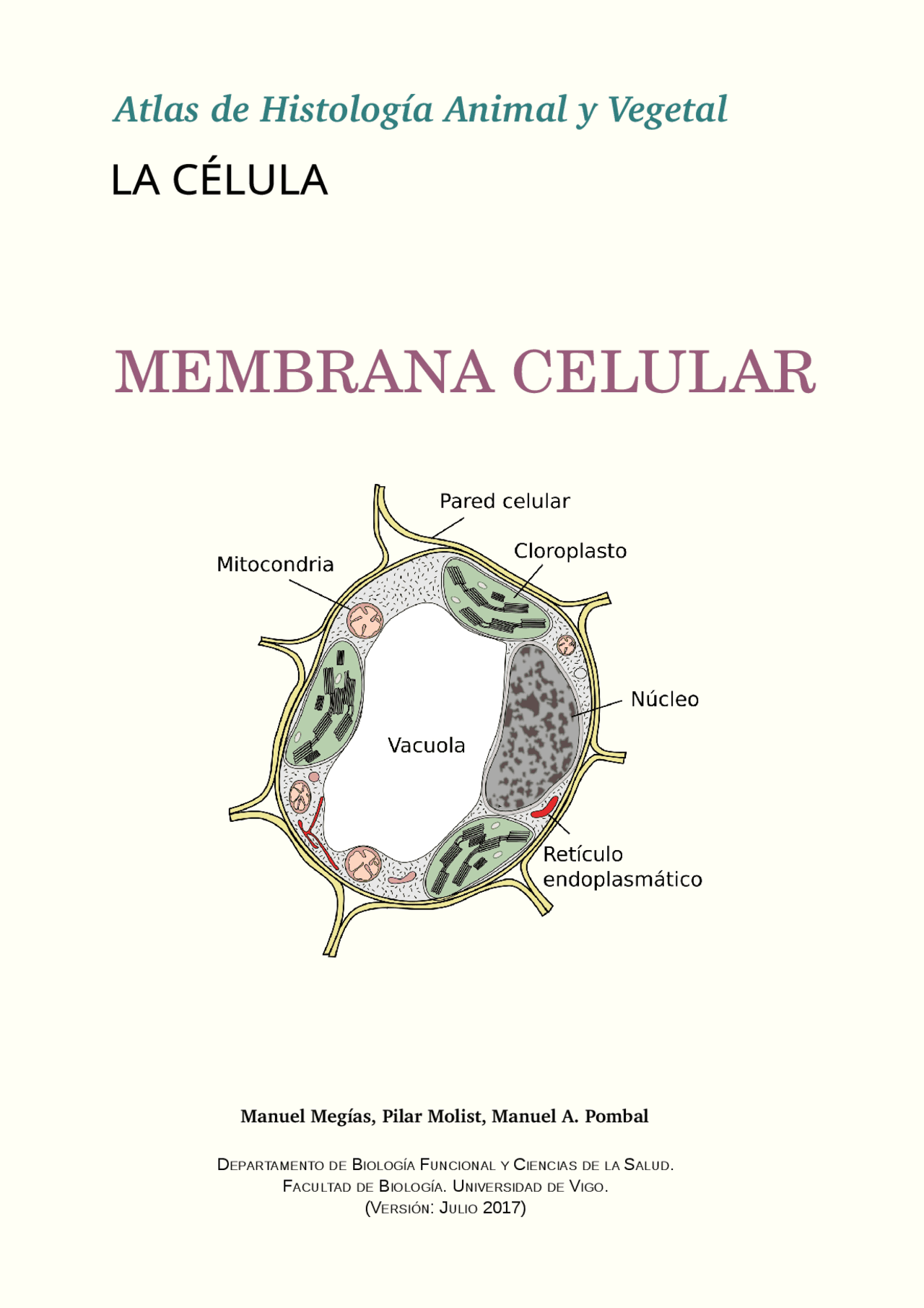 Membrana celular, membrana citoplasmática o plasmalema, es una capa o ...