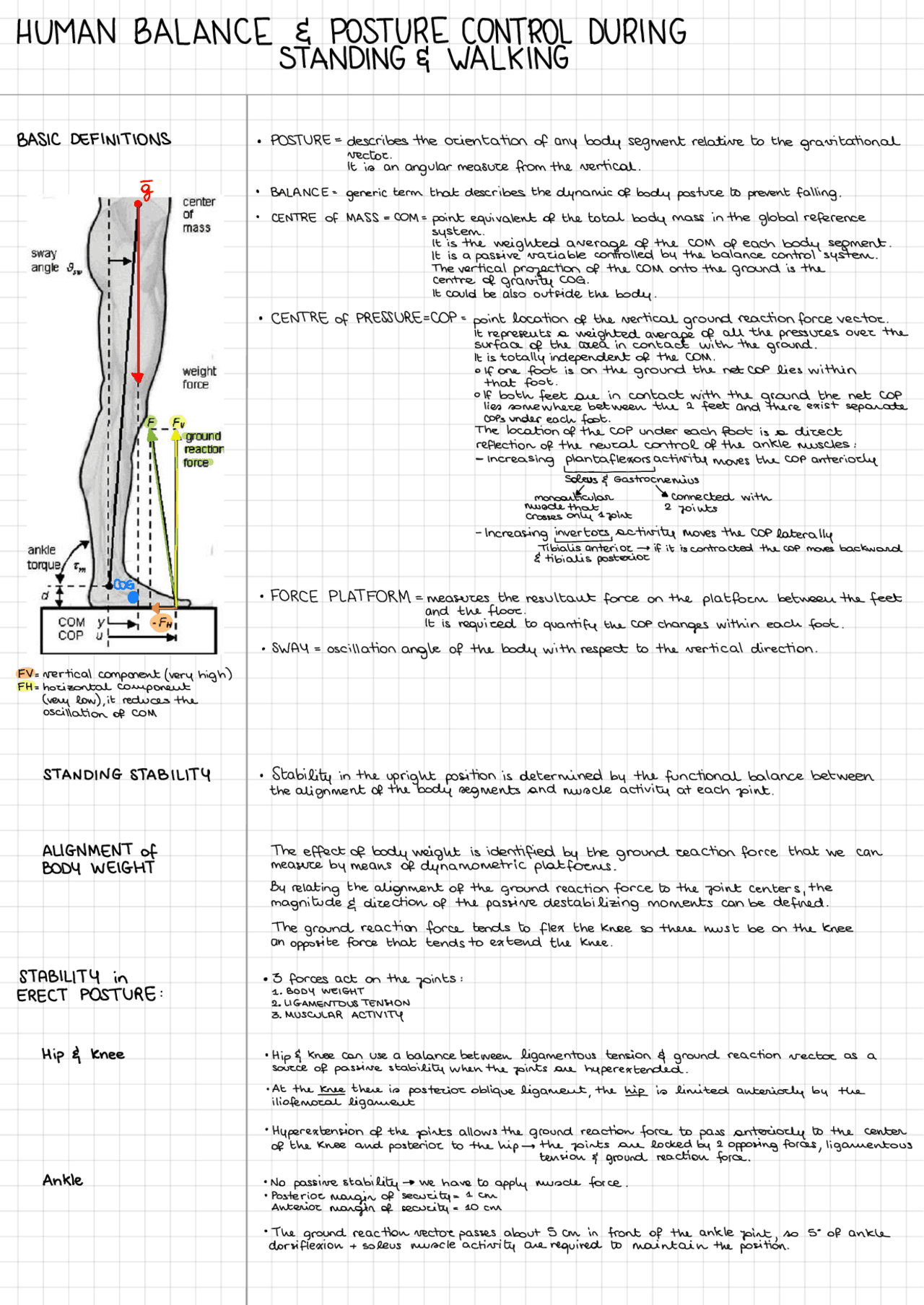 Davis protocol, vaughan protocol | Schemi e mappe concettuali di ...