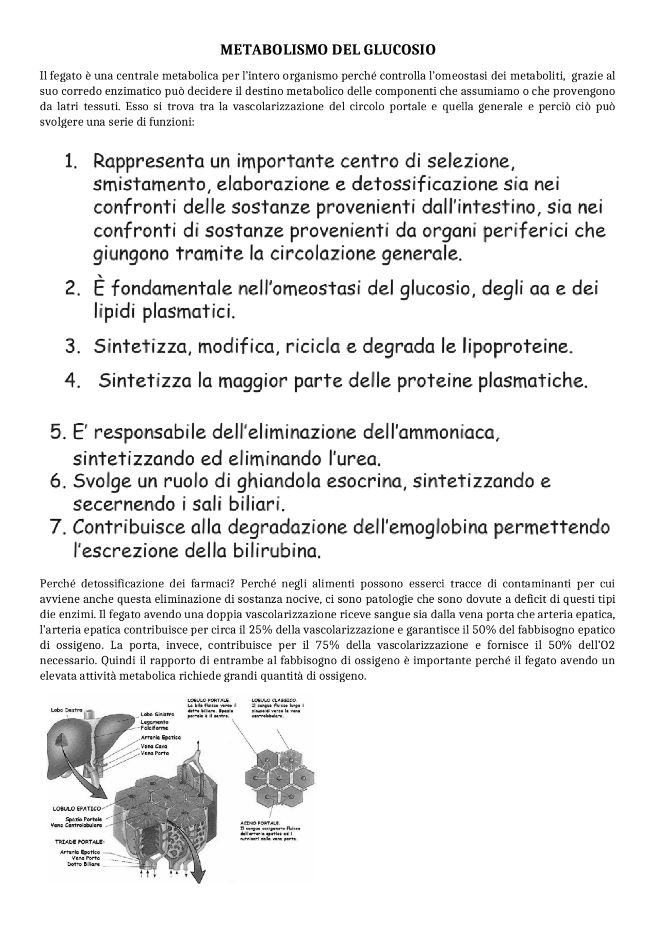 Metabolismo Glucosio Docsity