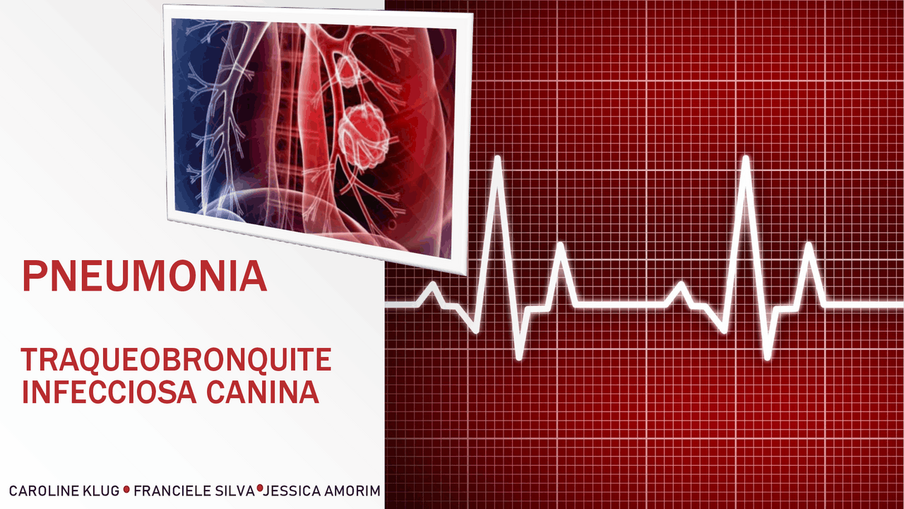 TRAQUEOBRONQUITE INFECCIOSA CANINA - Docsity